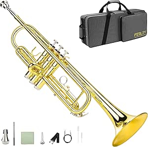 Amazon.com: Fesley Bb Standard Trumpet Set: Brass Trumpets for Beginner ...