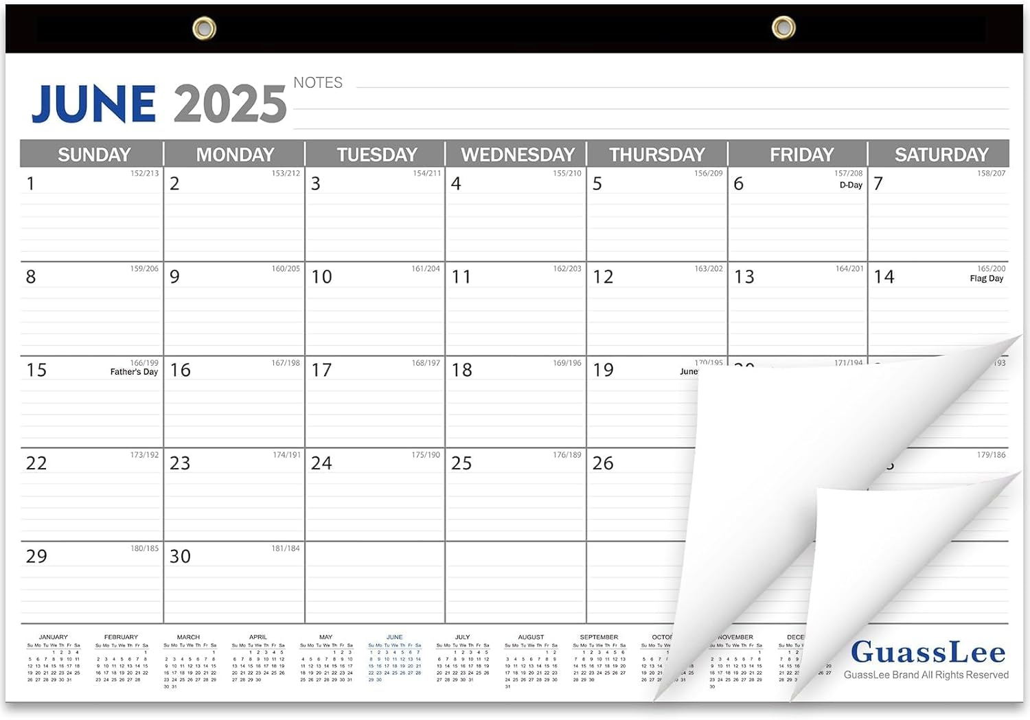 Amazon.com : GuassLee Desk Calendar 2025-2026 - 19 Monthly Desktop ...