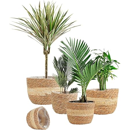 Amazon.com: Seagrass Planter Basket Stylish Planter Baskets for Indoor ...