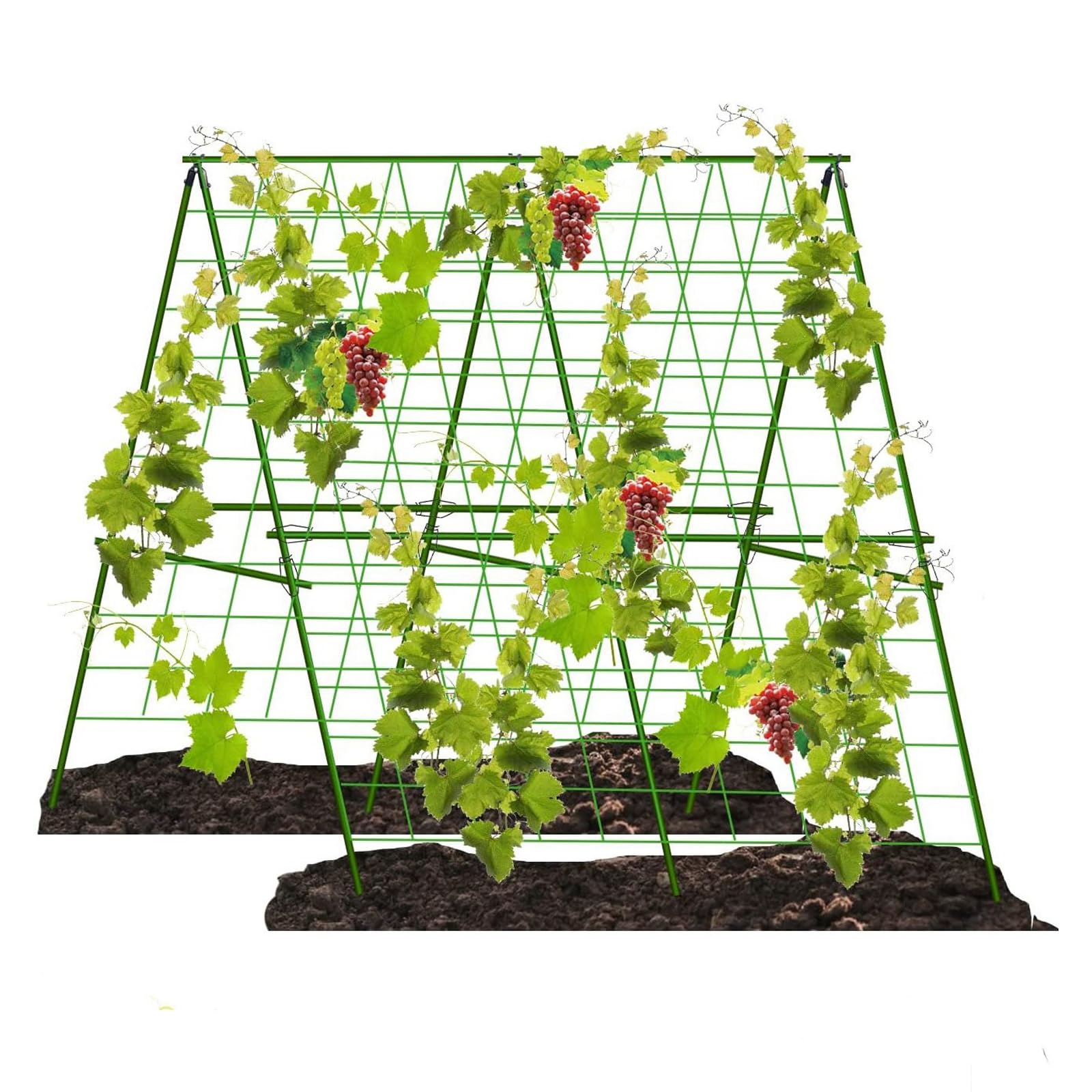 Snapklik.com : HUATOL 48"" X 48"" Foldable Cucumber Trellis, Garden ...