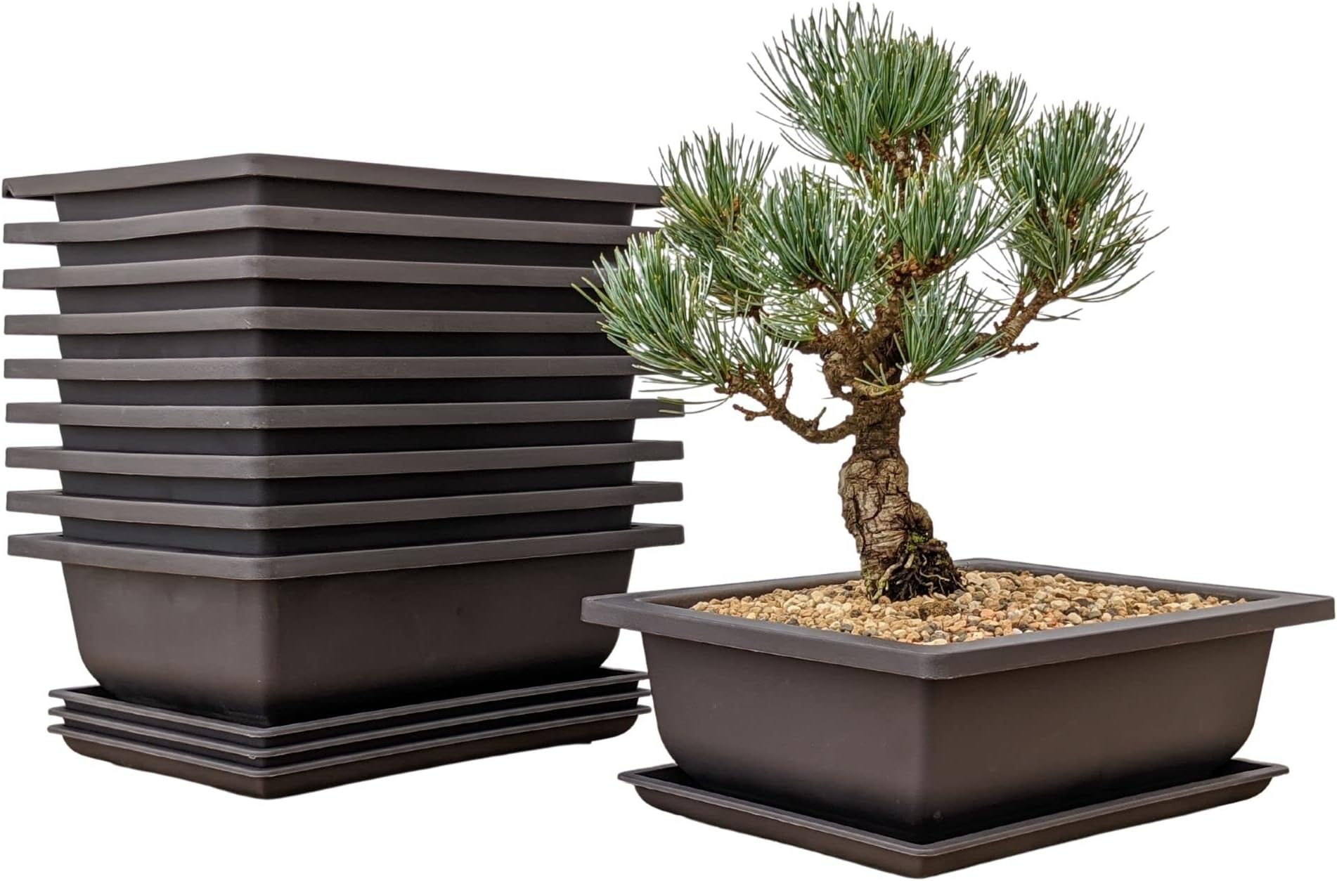 Amazon.com: Window Garden Bonsai Training Pots with Drainage Trays Set ...