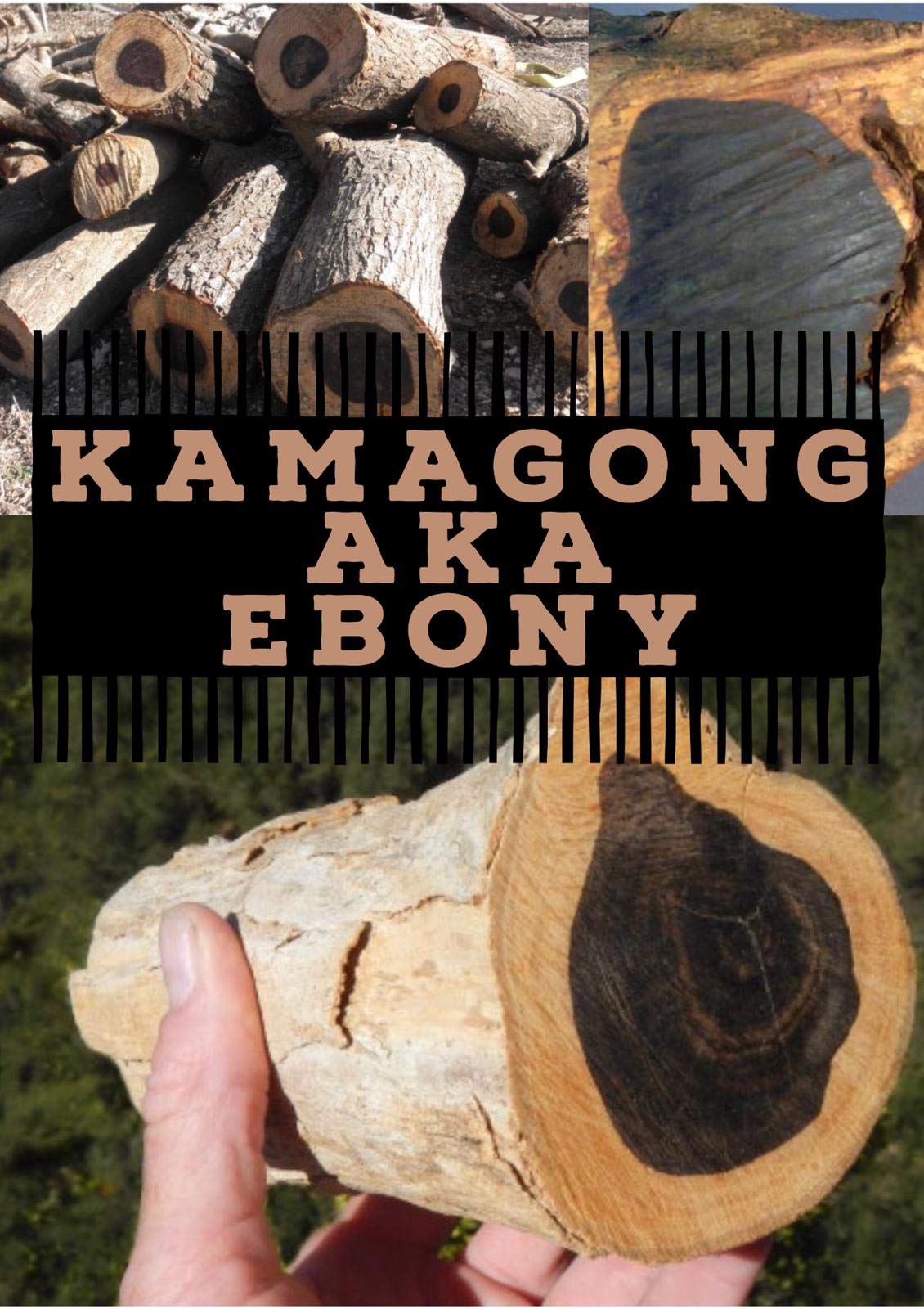 Kamagong Tree Kamagong/mabolo (Diospyros Blancoi) A PH Endemic