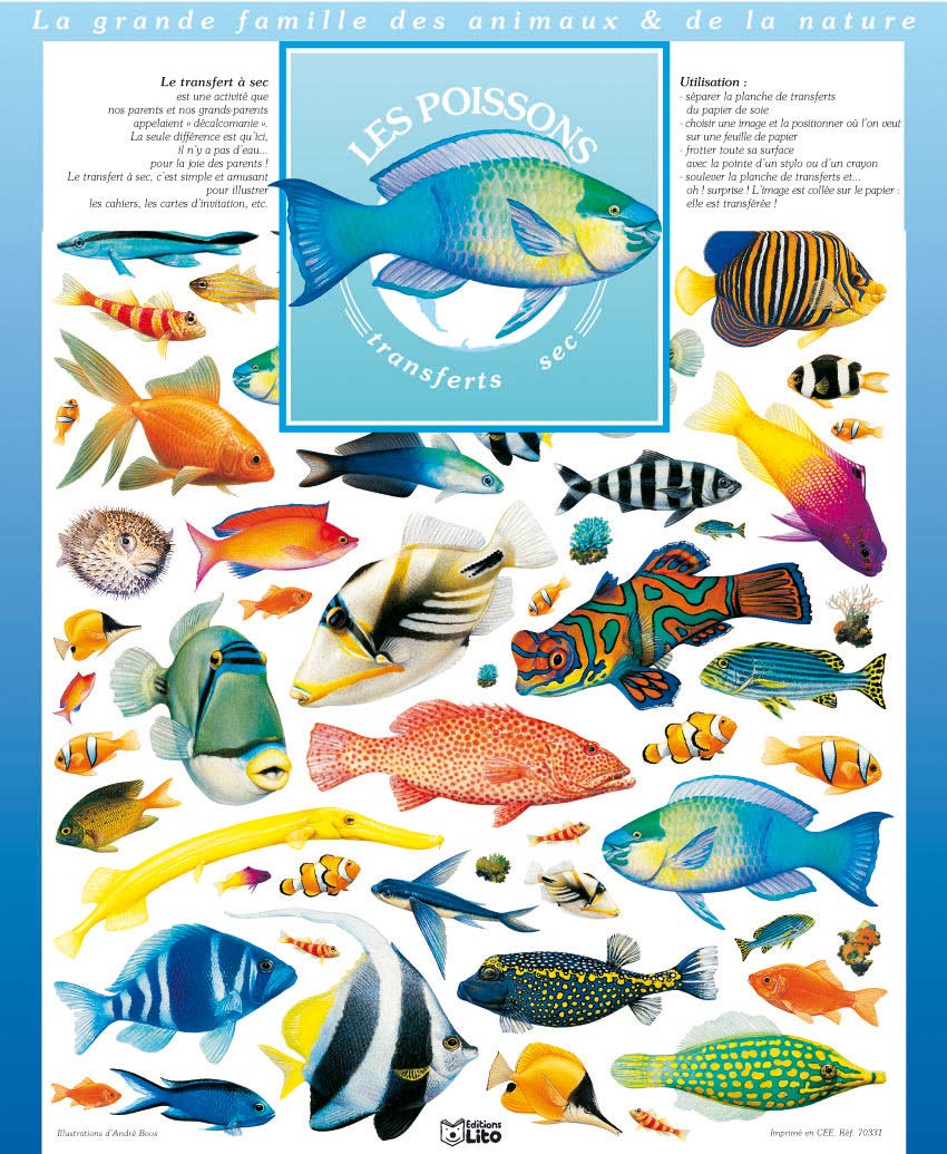 Amazon.fr - Les poissons - Livres