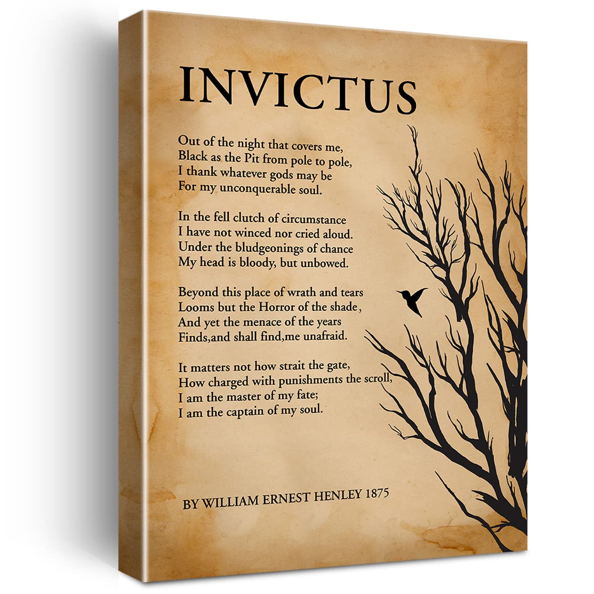 Amazon.com: Retro Wall Art Invictus Out of the Night Canvas Print ...