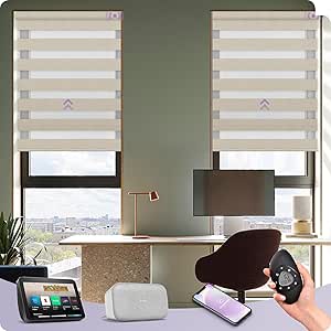 Amazon.com: Graywind Motorized Zebra Sheer Blinds Compatible with Alexa Horizontal Light ...