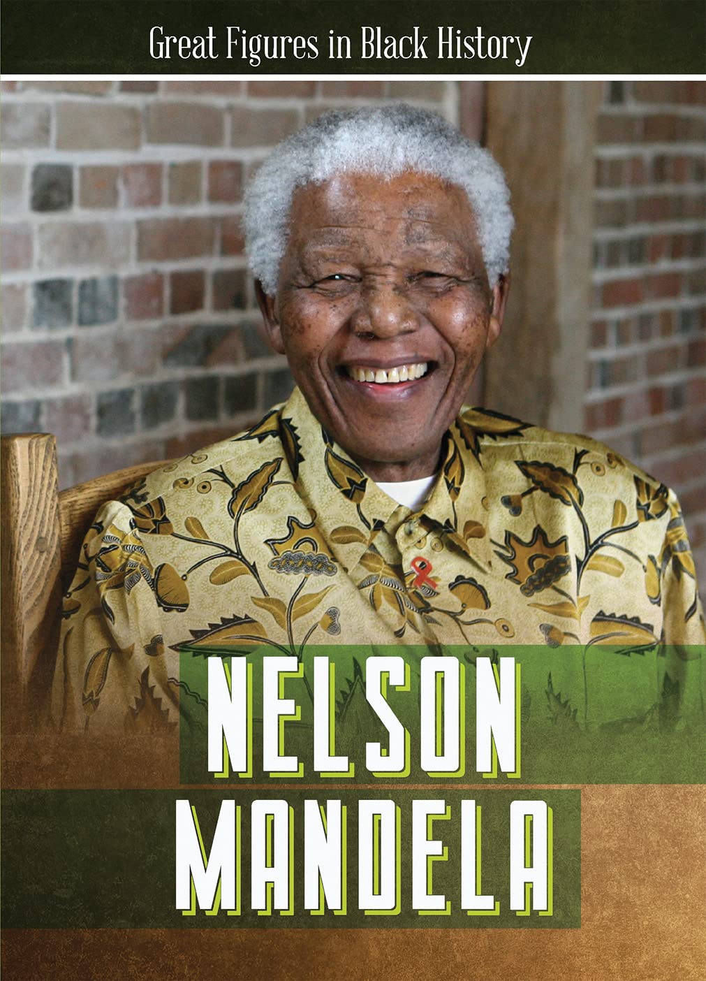 Nelson Mandela (Great Figures in Black History): Lake, Theia ...
