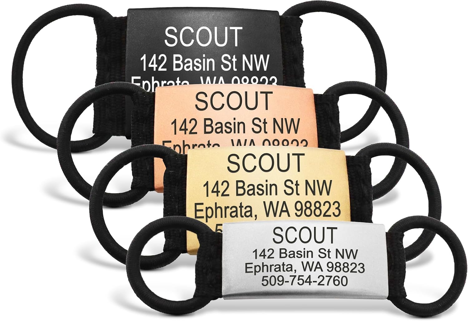 Amazon.com : GoTags Silent Personalized Engraved Pet ID Tags for Dogs ...