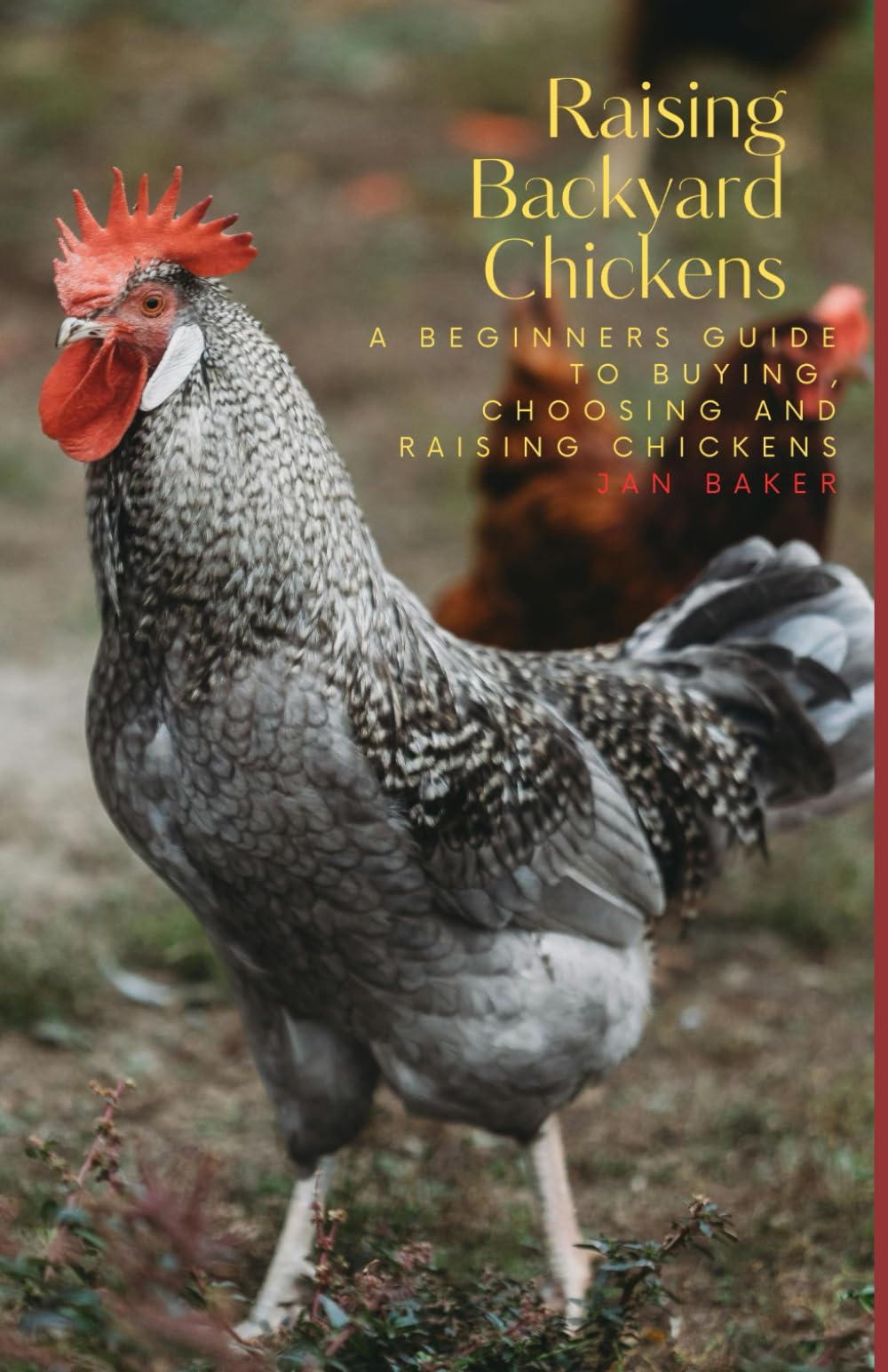 Raising Backyard Chickens: A Beginners Guide to Buying, Choosing and ...