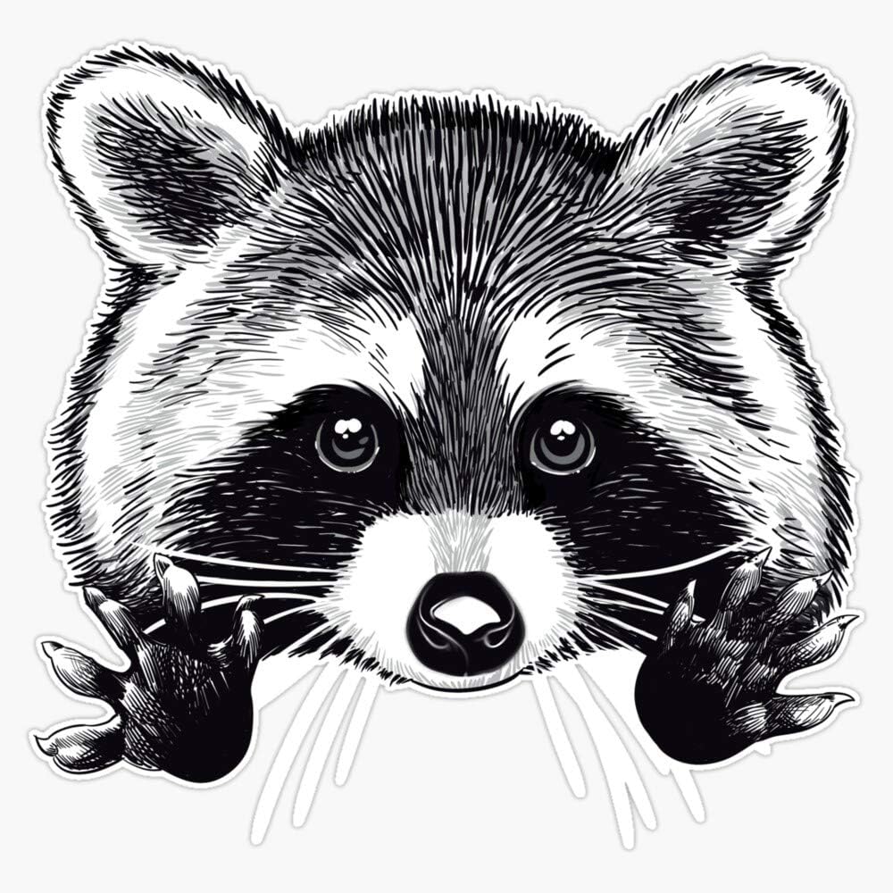 Amazon.com - Little Raccoon Buddy Vinyl Waterproof Sticker Decal Car ...