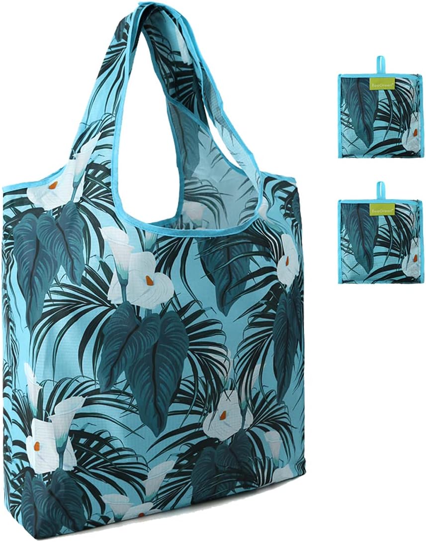 Amazon.com: BeeGreen Rainforest Reusable Grocery Bags Foldable Bulk 2 ...