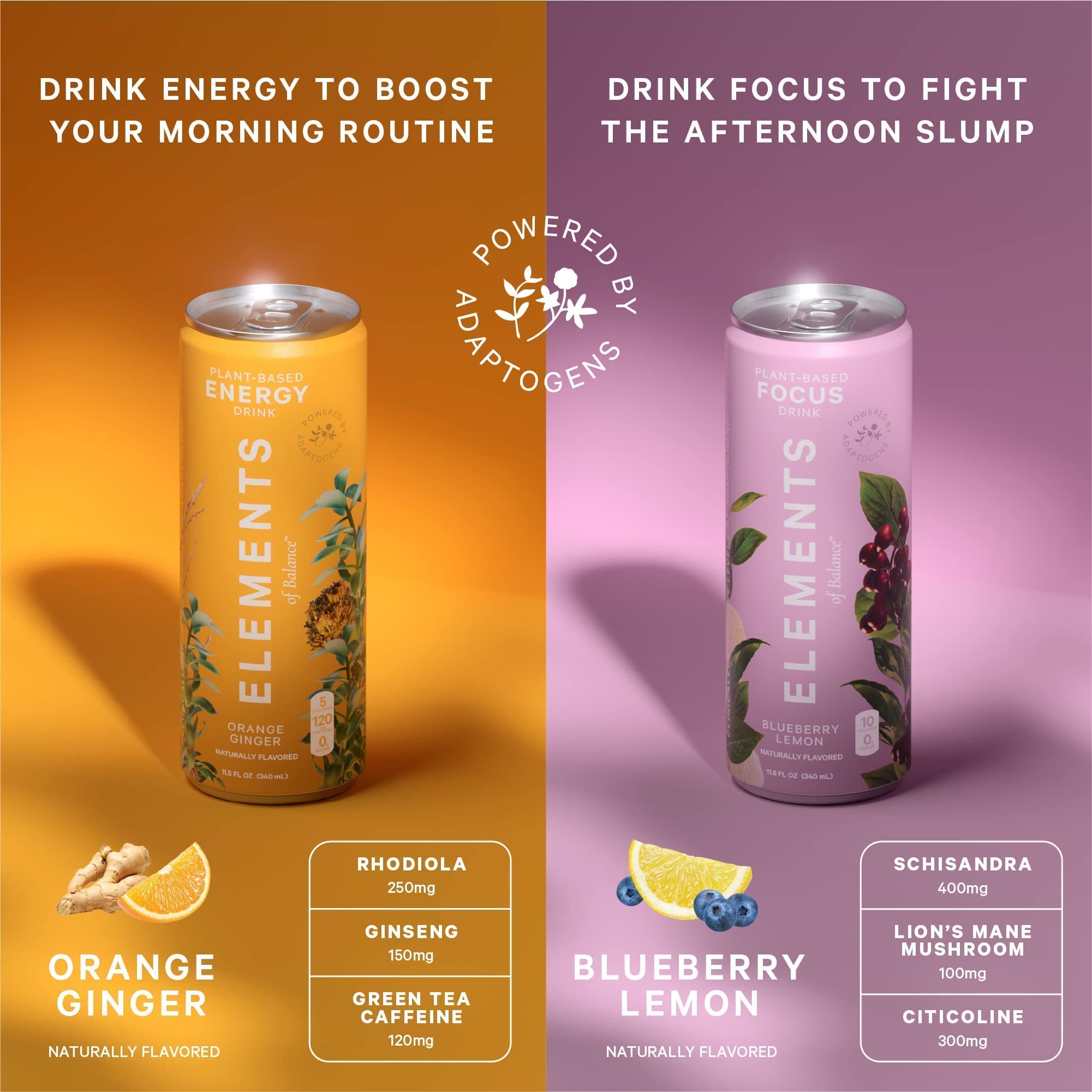 Variety Functional Wellness Drinks by Elements of Balance | 12-Pack of ...