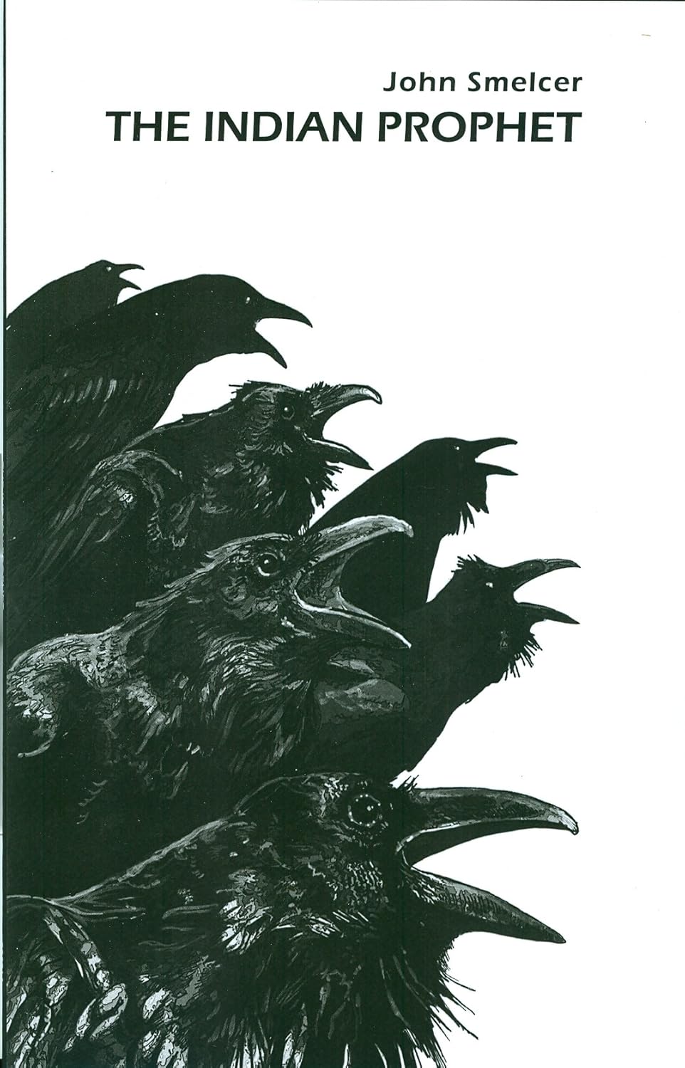 The Indian Prophet: Smelcer, John: 9780893042622: Amazon.com: Books