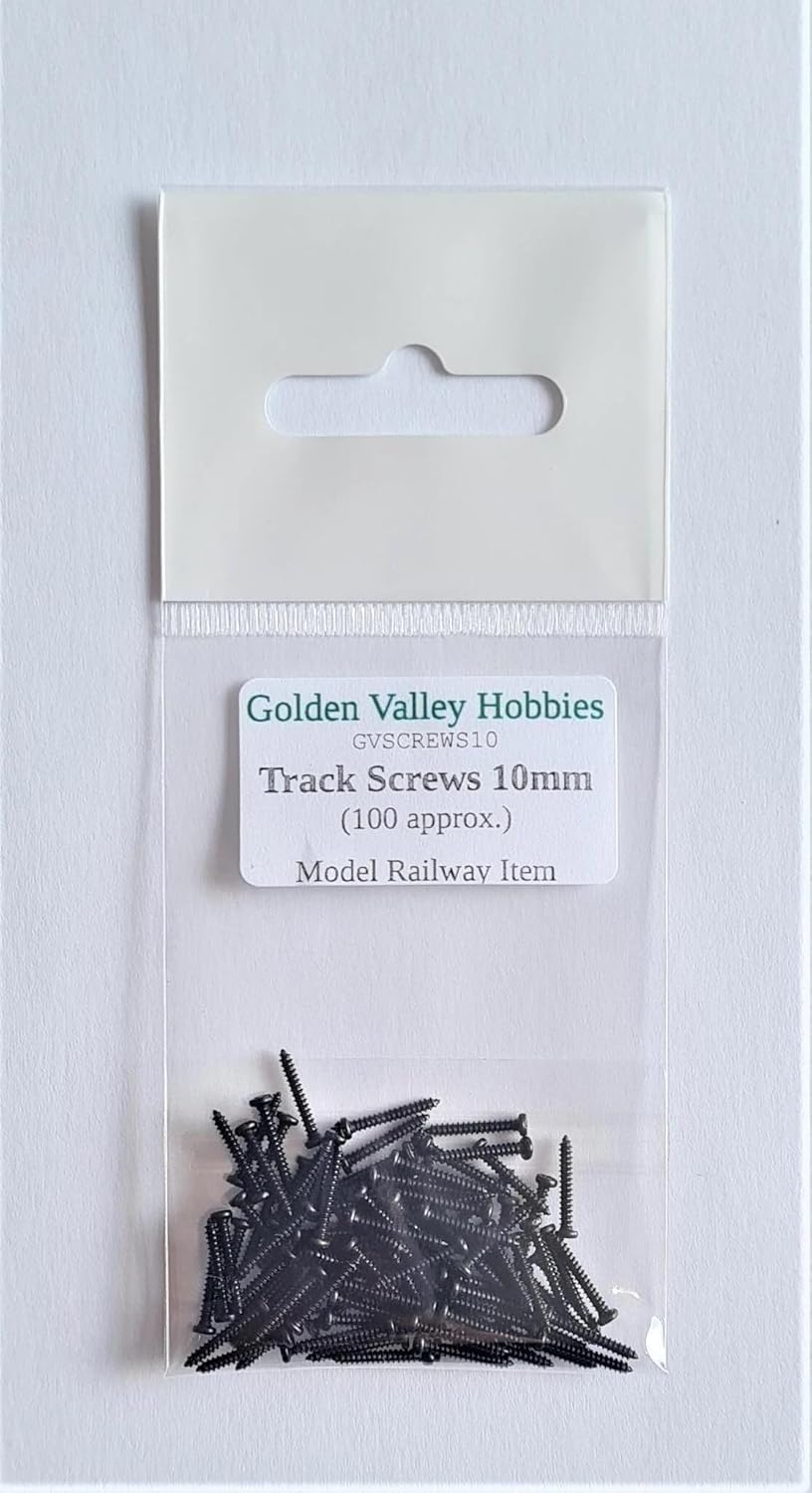 Golden Valley Hobbies GVSCREWS10 Track Screws 10mm Long (x100) : Amazon ...