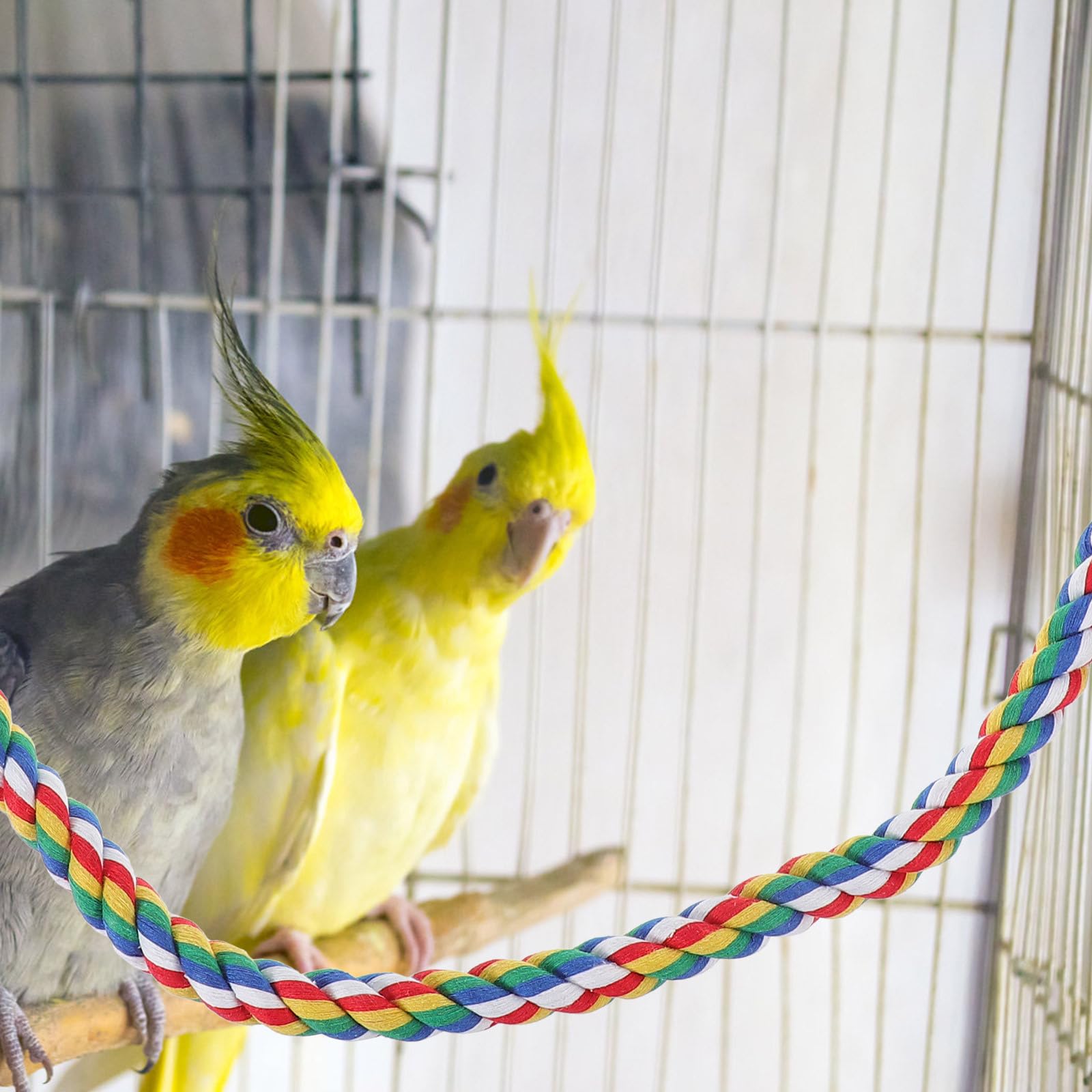 Parrot Climbing Rope Swing Cage Accessories Bird Rope Perch & Swing - 3 ...