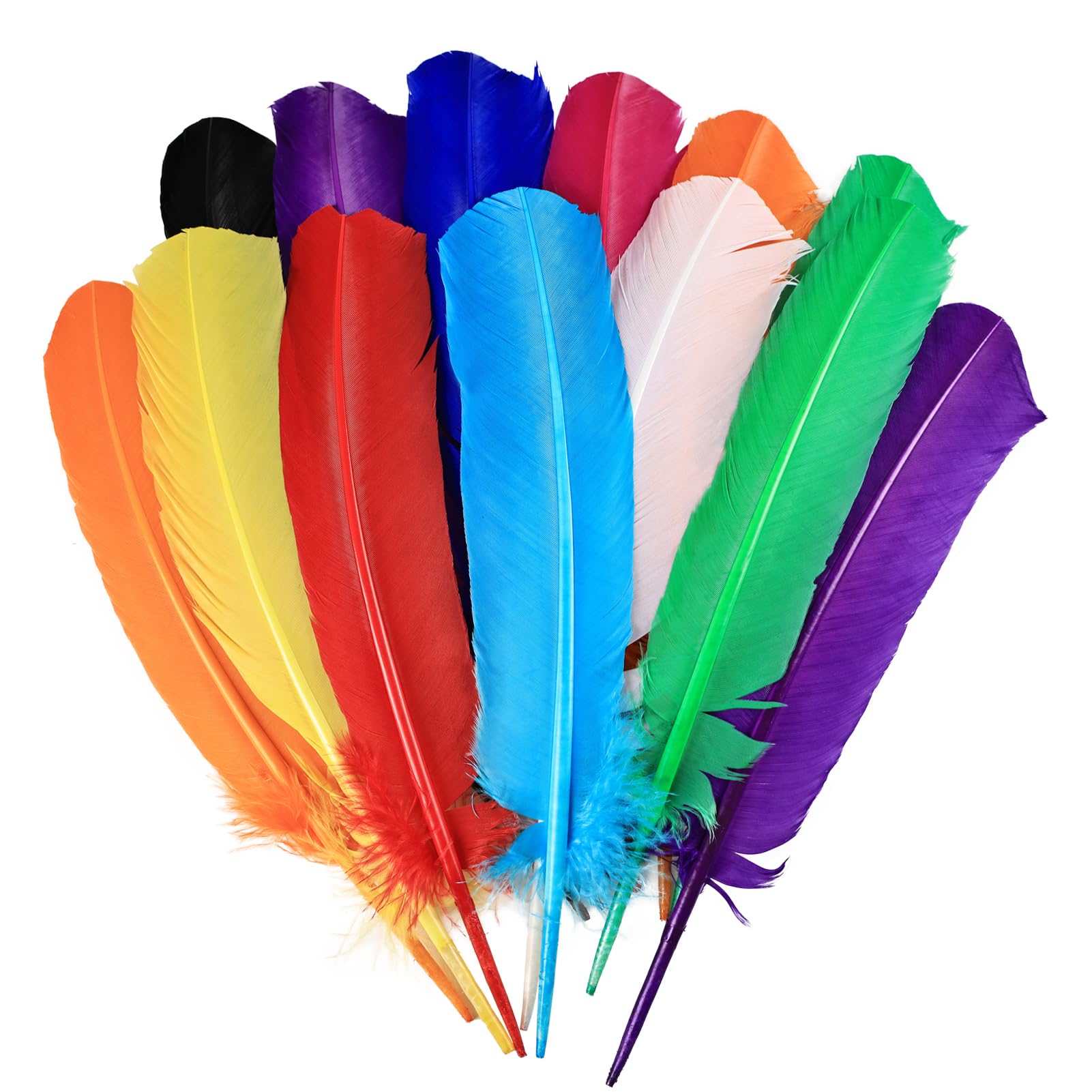 Amazon.com: Daieeparty 12pcs Mix Color Wild Turkey Tails Feathers 10 ...