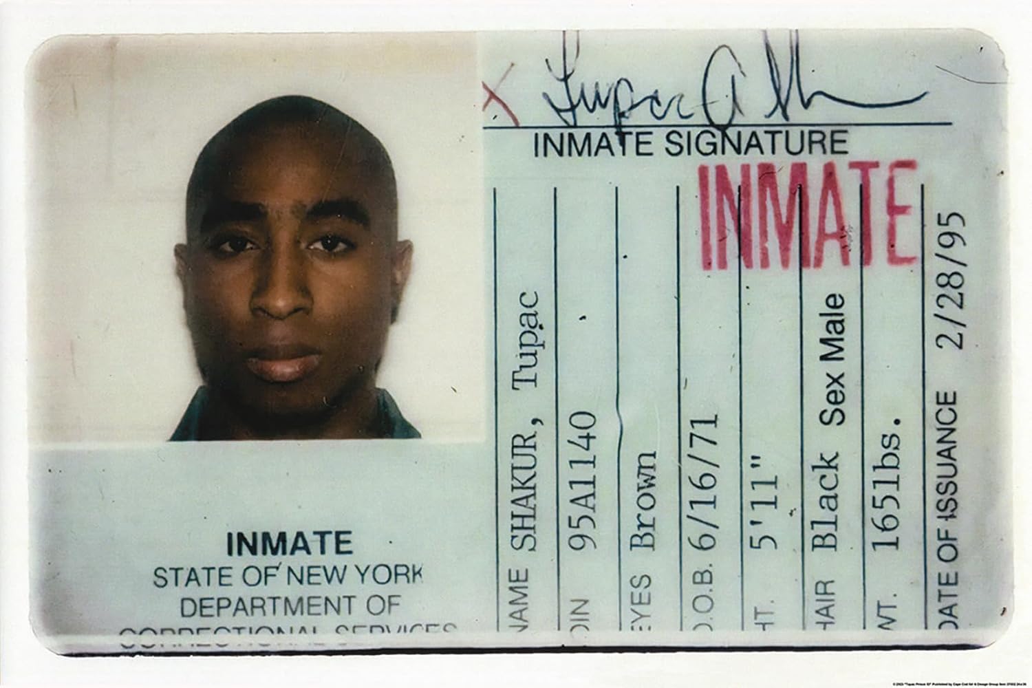 Amazon.com: BUY ART FOR LESS Officially Licensed Tupac Prison Id 24 X ...