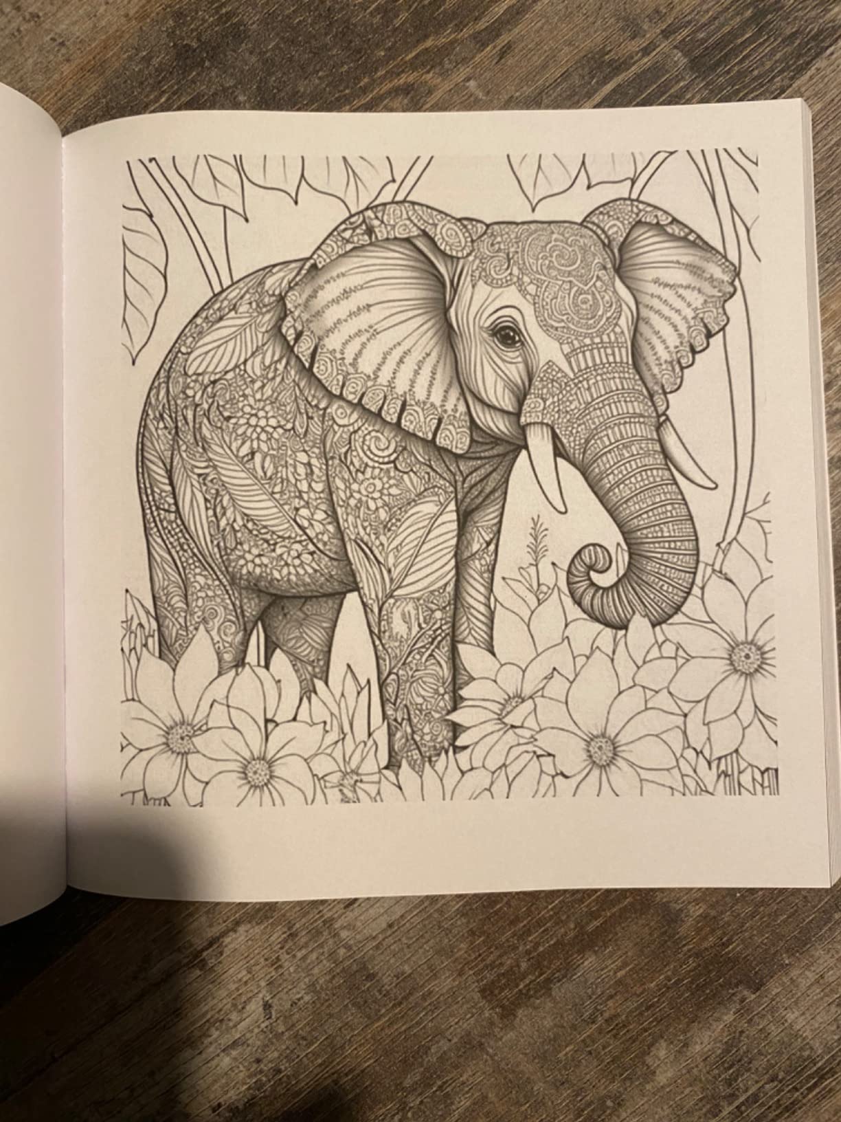 Das Mandala Malbuch 100 Tiere: Tiere Ausmalbuch mit Mandalas für ...