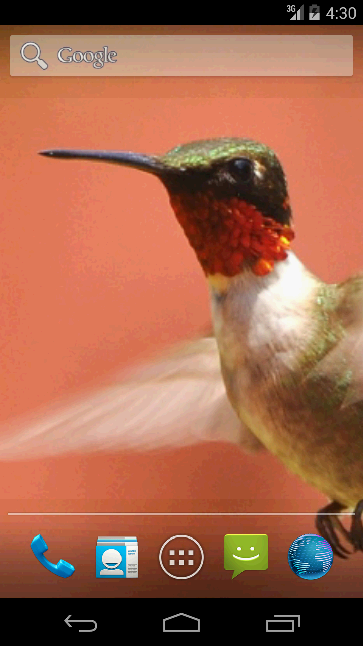 Hummingbird Wallpaper App - App on Amazon Appstore