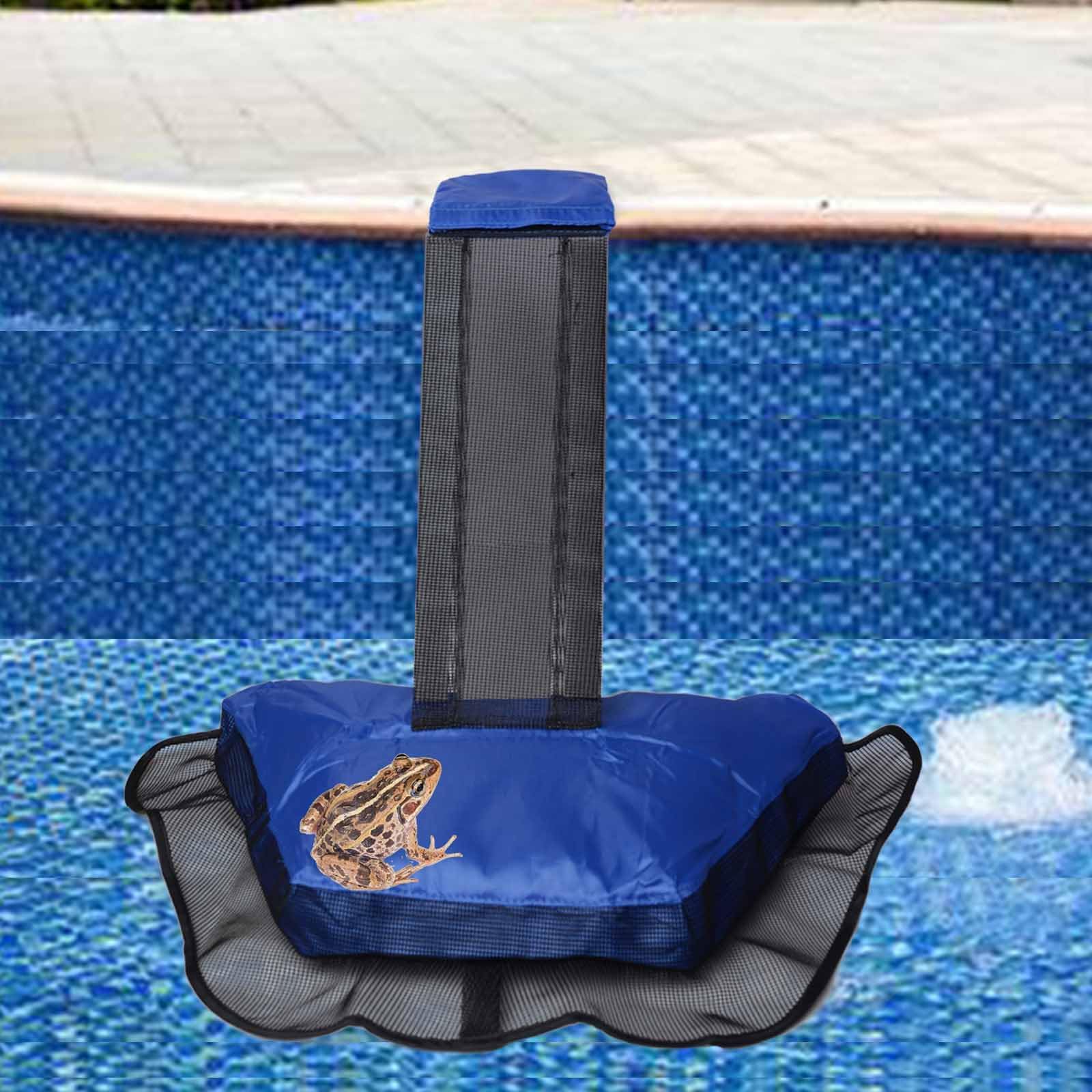 Amazon.com: Generic Critter Rescue Pool Ramp: Save Wildlife from ...
