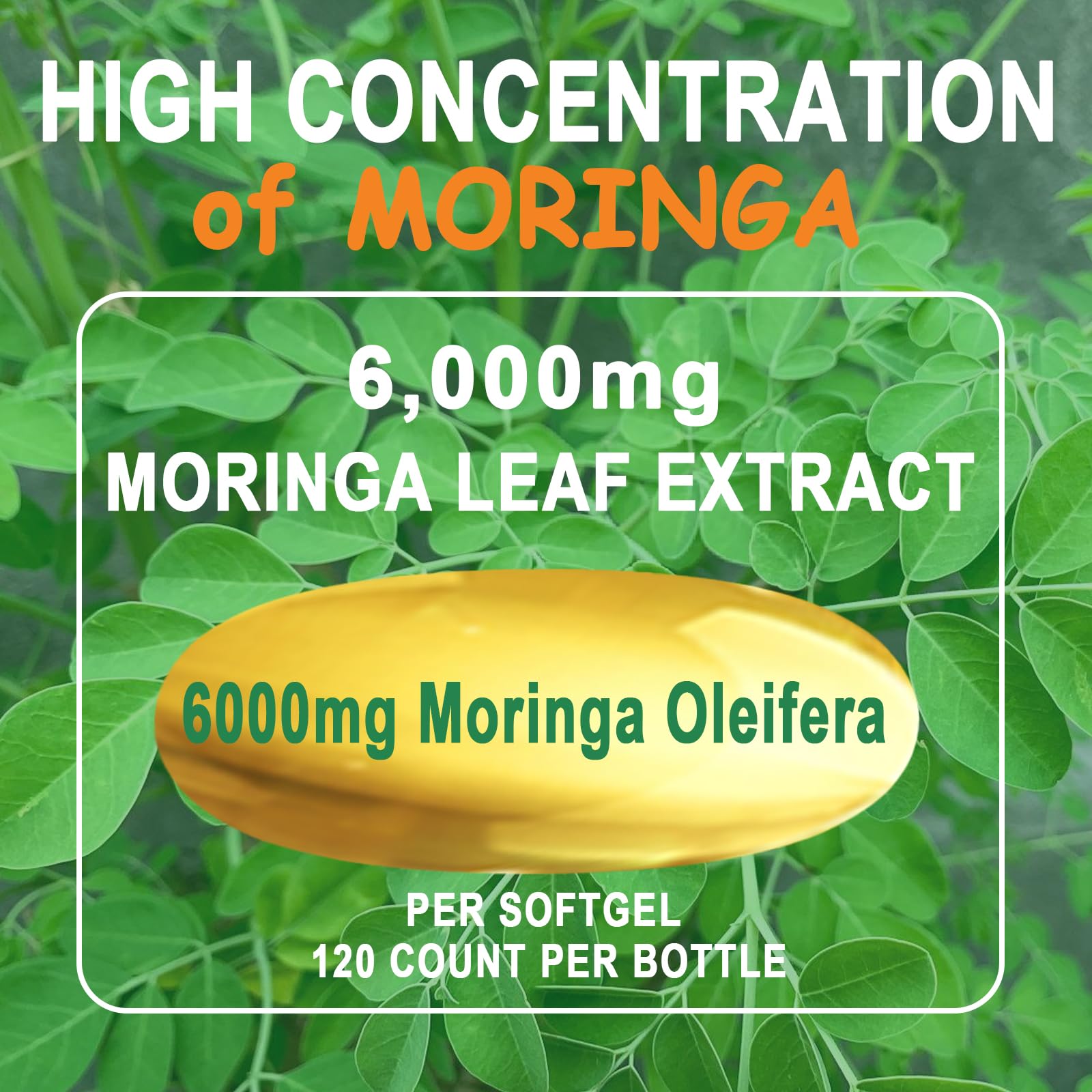 Moringa Benefits And Side Effects