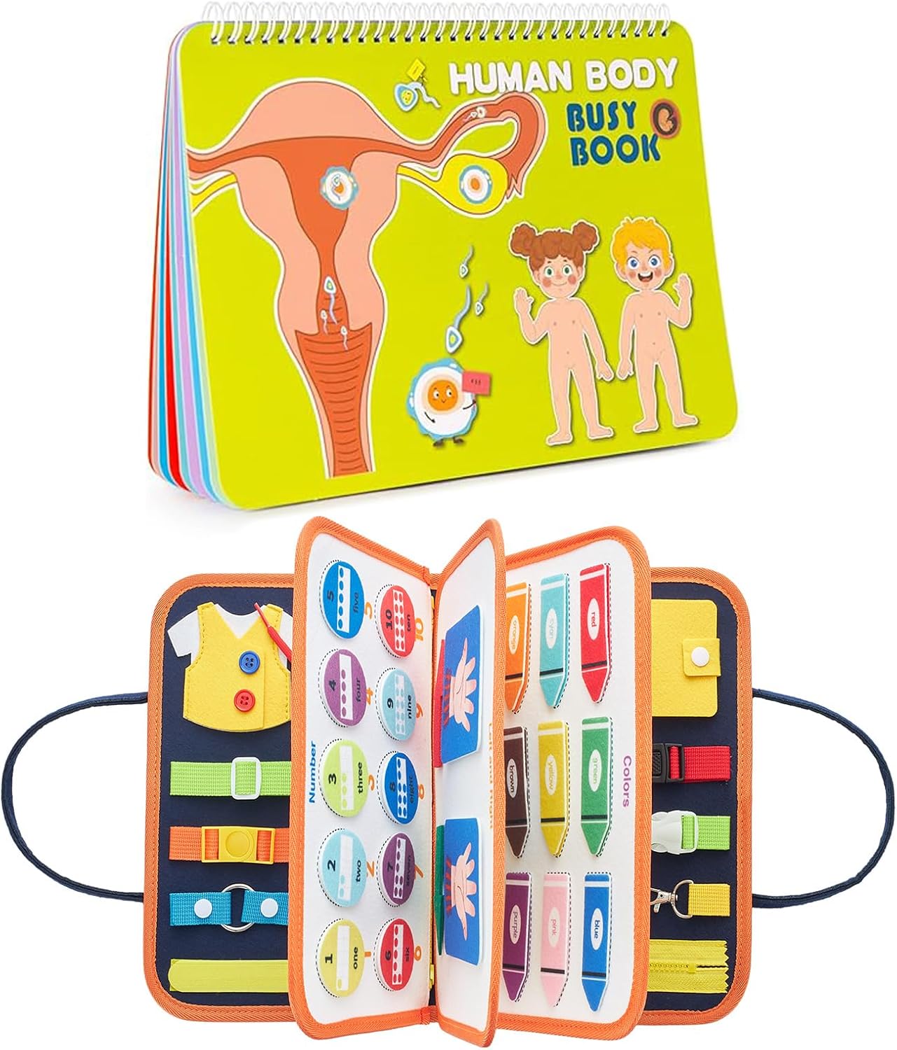 Amazon.com: Freebear Busy Board Toddler Travel Toys Sensory Toys for ...