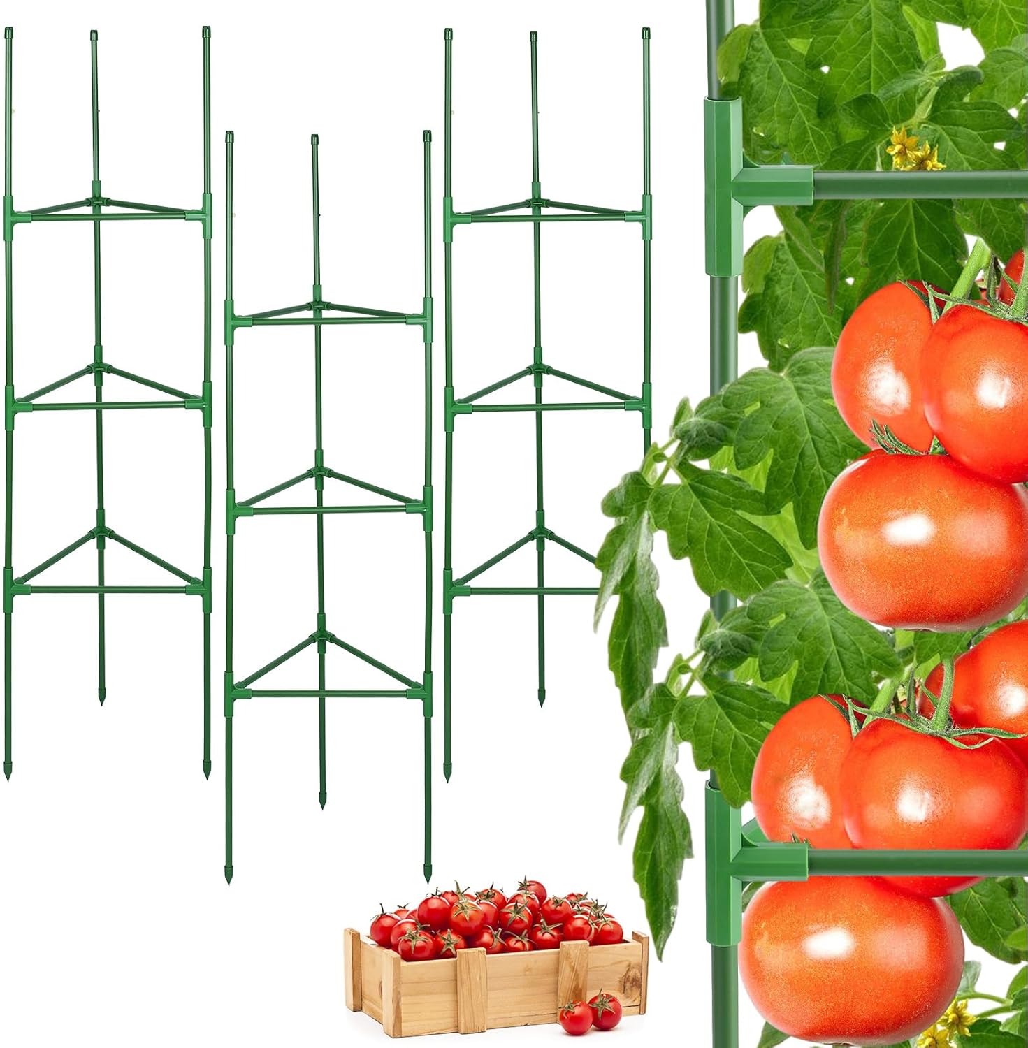 Amazon.com : Upgraded Stable Tomato Cages - Durable Tomato Plant Stakes ...