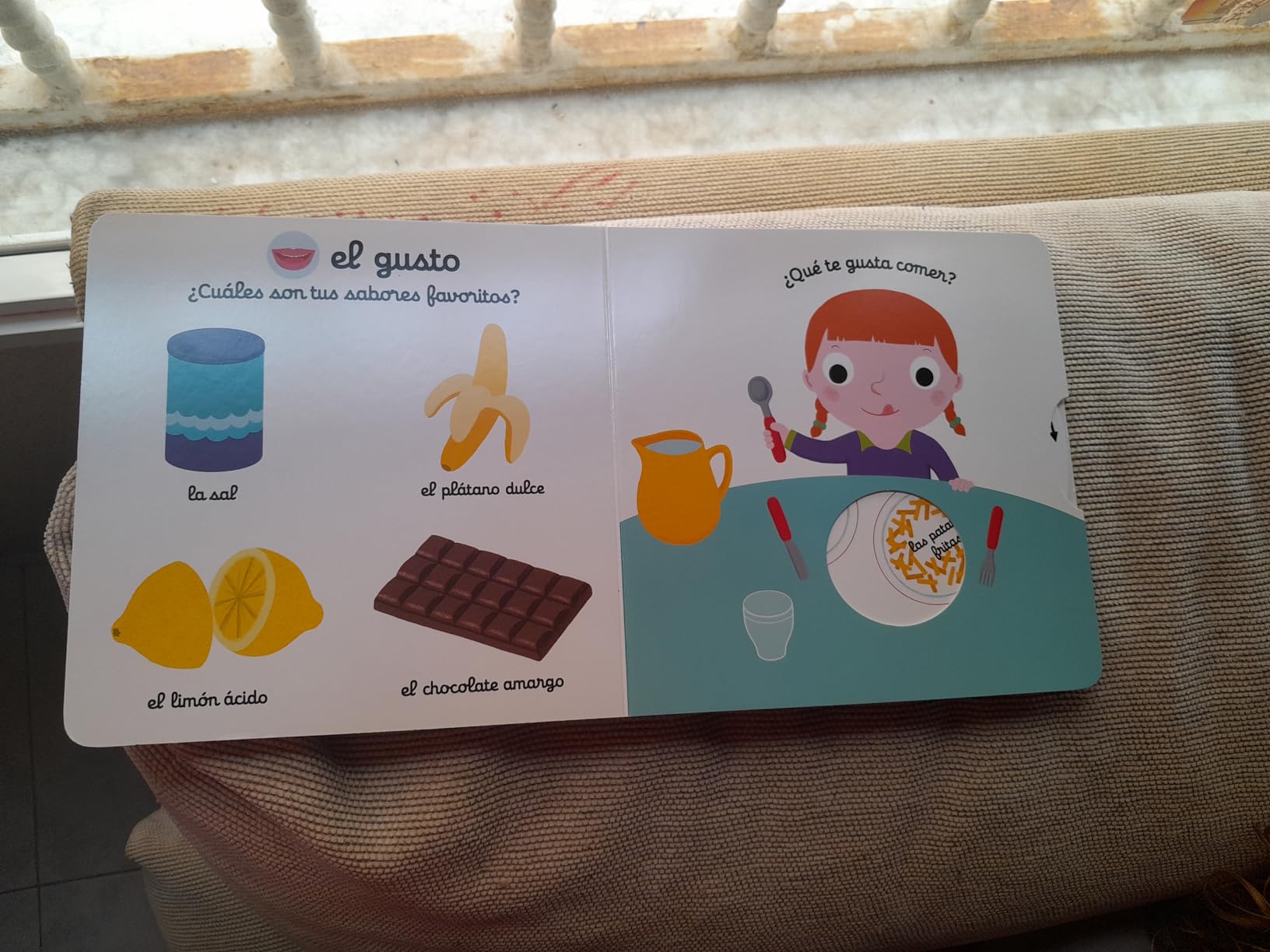 El pequeño libro de los sentidos (Libros con mecanismos) : Choux ...