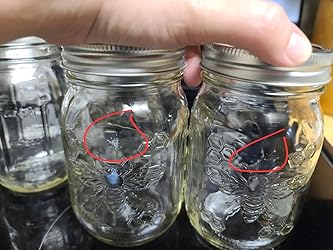 Amazon.com: Ball Honeybee Keepsake Mason Jars with Lids and Bands, Regular Mouth, 16 Oz Pint ...