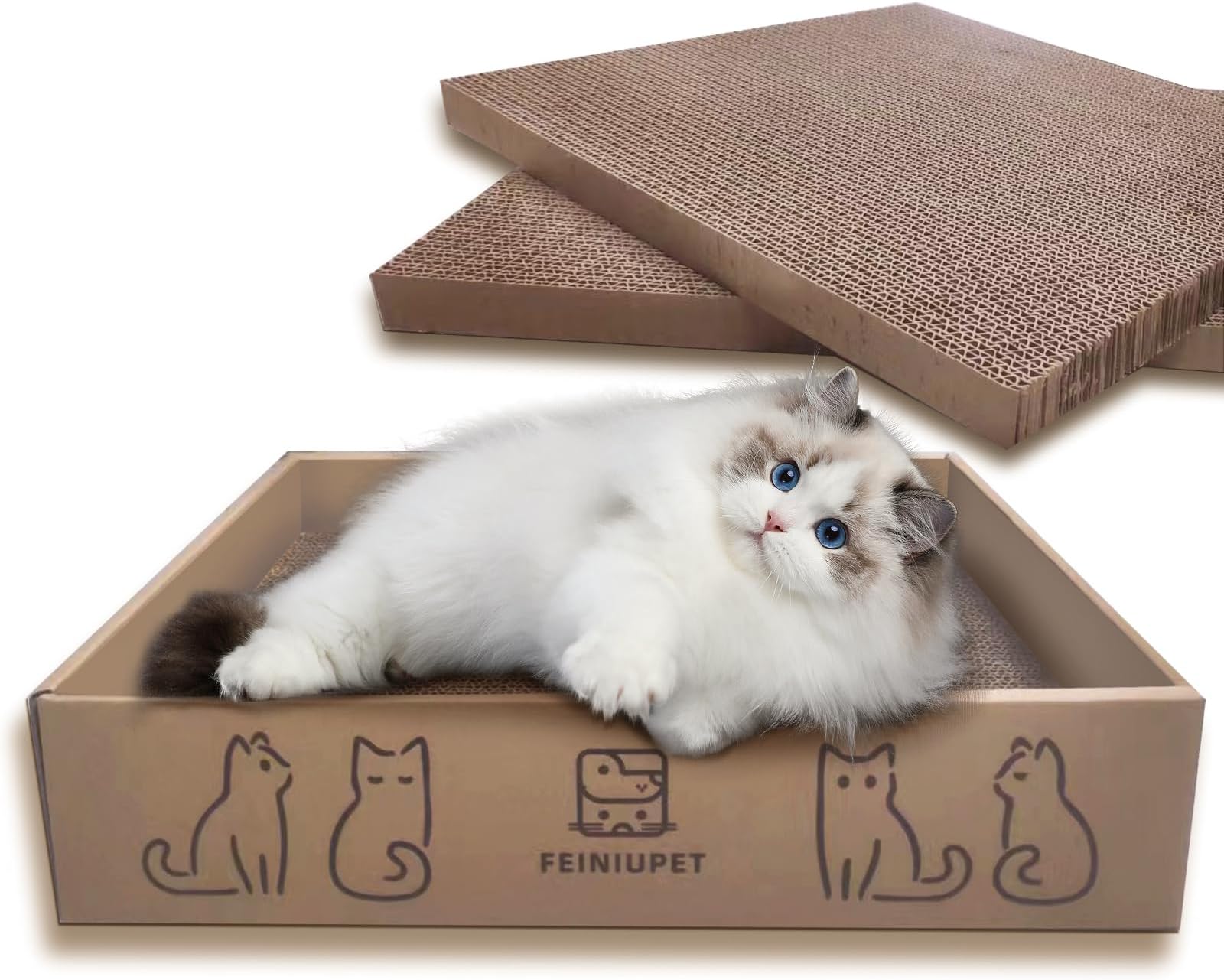 Amazon.com : ﻿Heavy Duty Cat Scratch Box with Extra Large Scratching ...