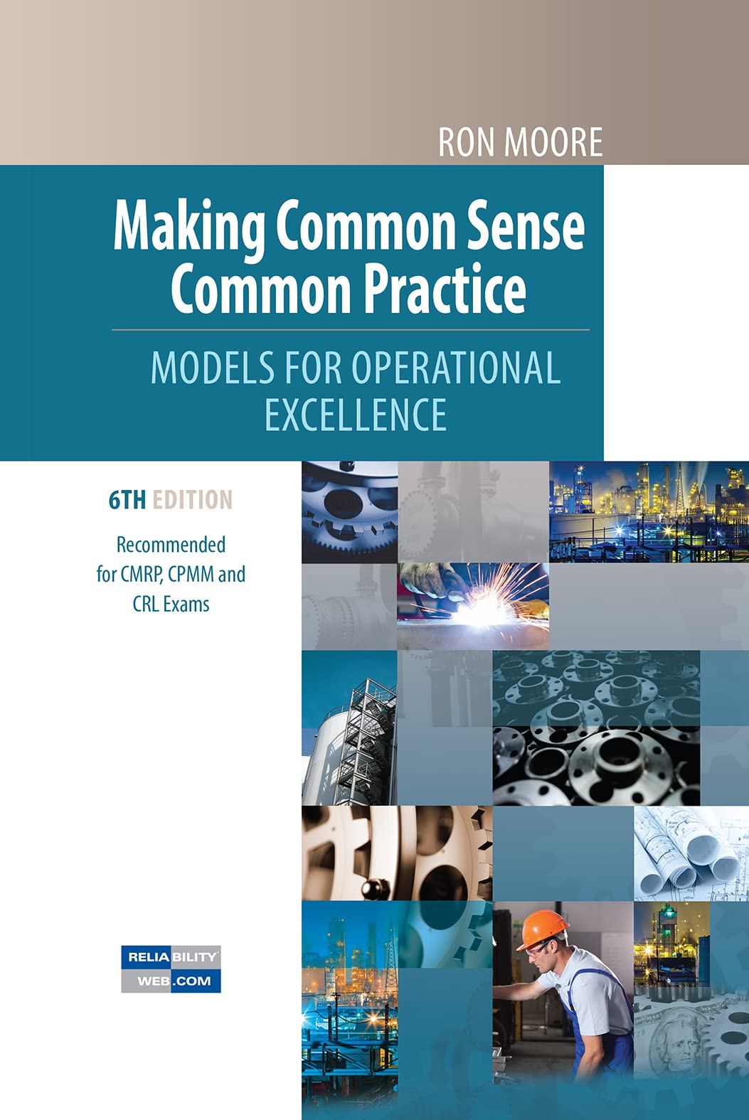 Making Common Sense Common Practice 6th Edition: Ron Moore ...