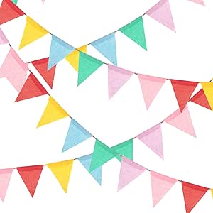 Amazon.com: GCQQ 24pcs Multicolor Banner, No DIY Pennants Banner Flags ...