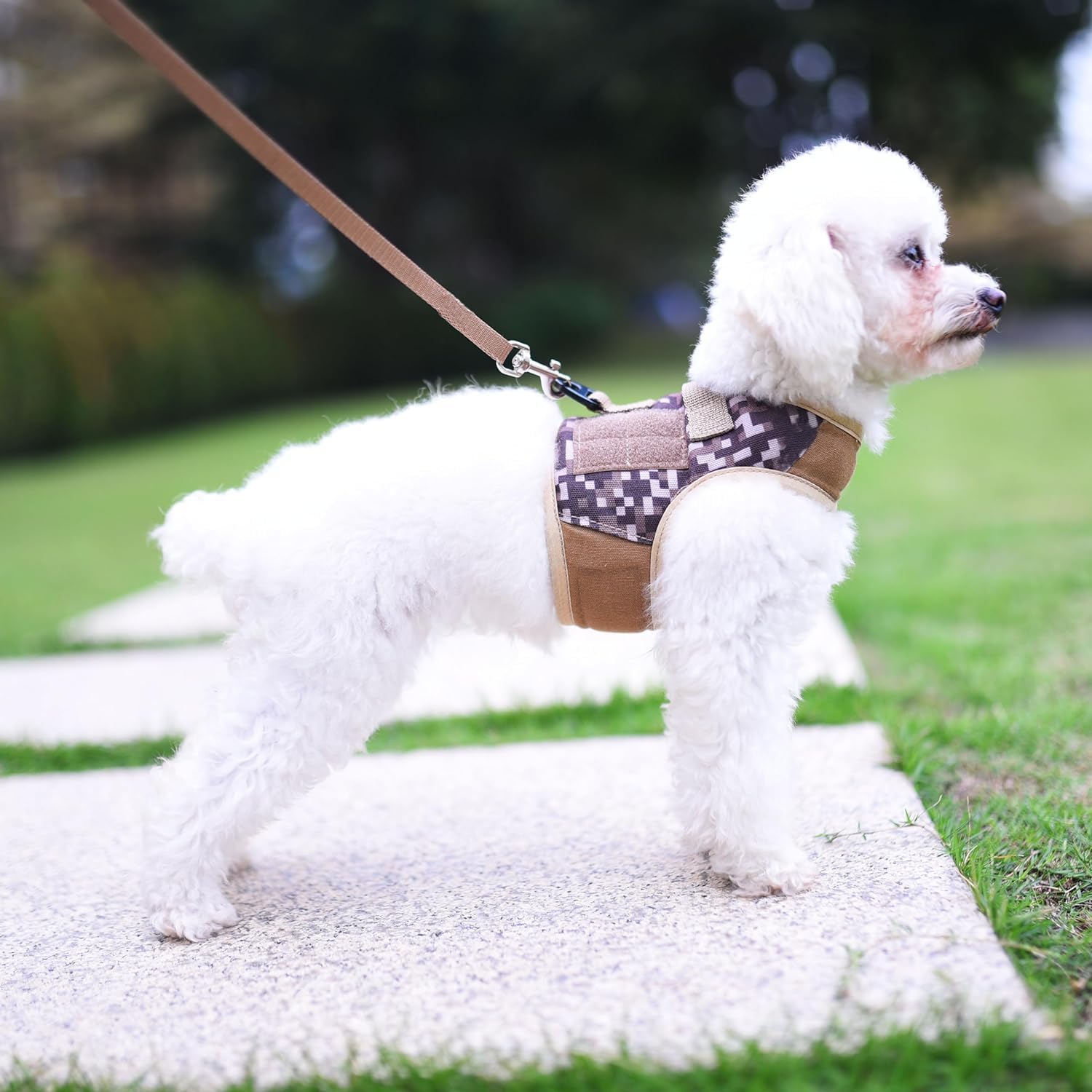 Amazon.com : Tactical Small Dog Harness and Leash Set Small Pet Harness ...