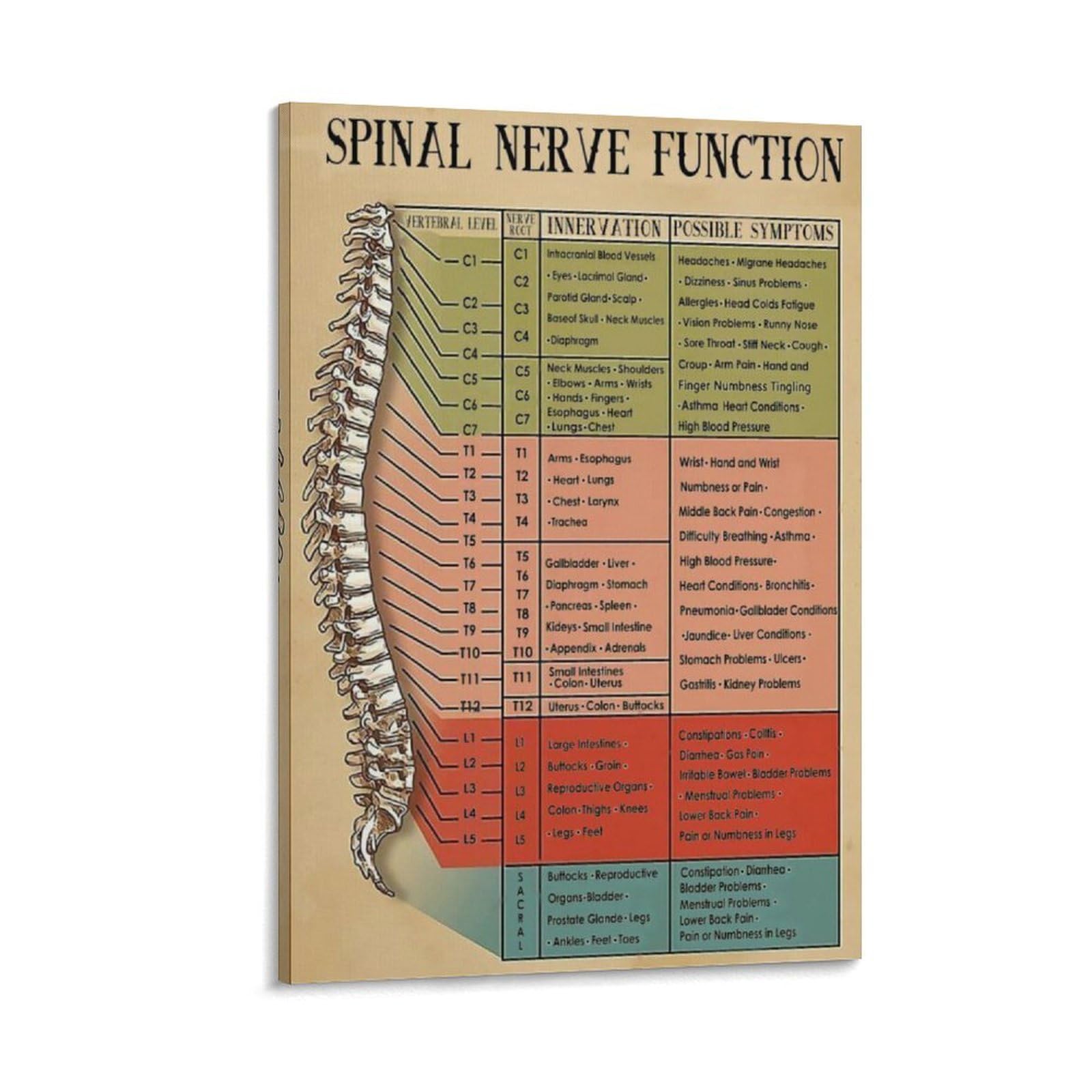 Papel De Parede Do Logotipo Do Nervo 200+] Papéis De Parede De