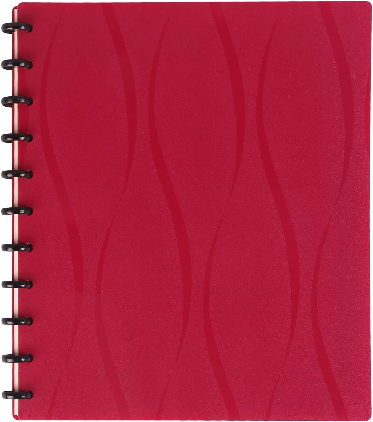 Amazon.com : Eagle Discbound Notebook, Customizable Notebook, Junior ...