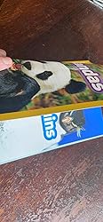 Amazon.com: National Geographic Readers: Pandas: 9781426306105 ...
