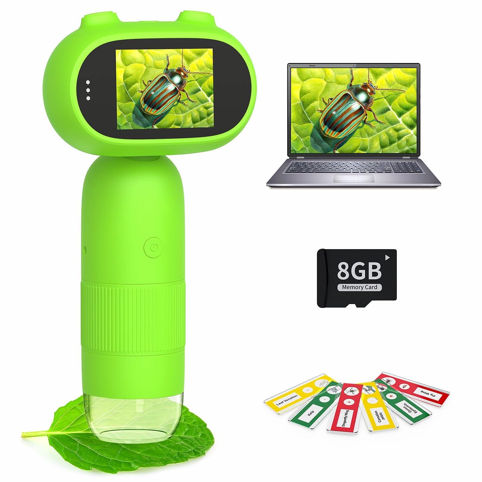 Amazon.com : Hayve Handheld Digital Microscope for Kids 1000X,16MP ...