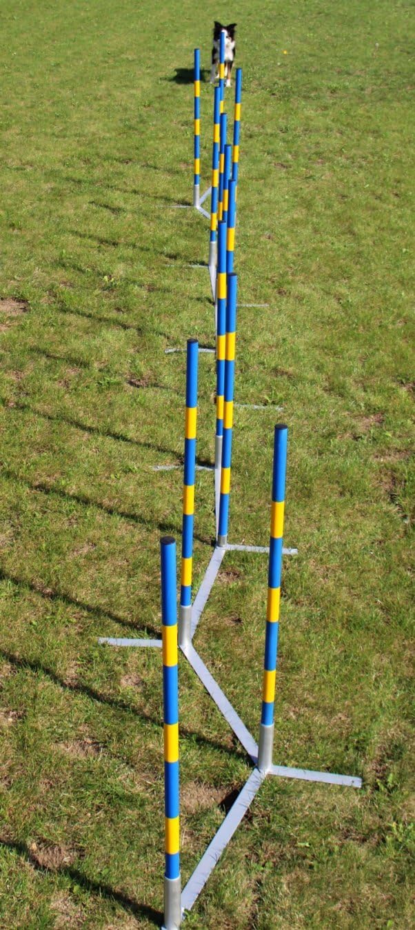 Slalom Agility Couloir (Aussi pour l’Entrainement) Conforme au ...