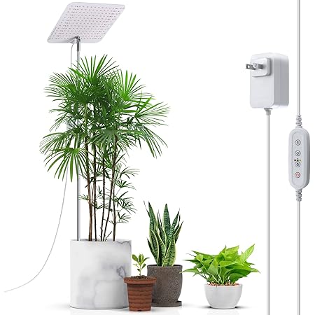 Amazon.com: 10" LED Ring Grow Lights for Indoor Plants, 160LEDs 6000K ...