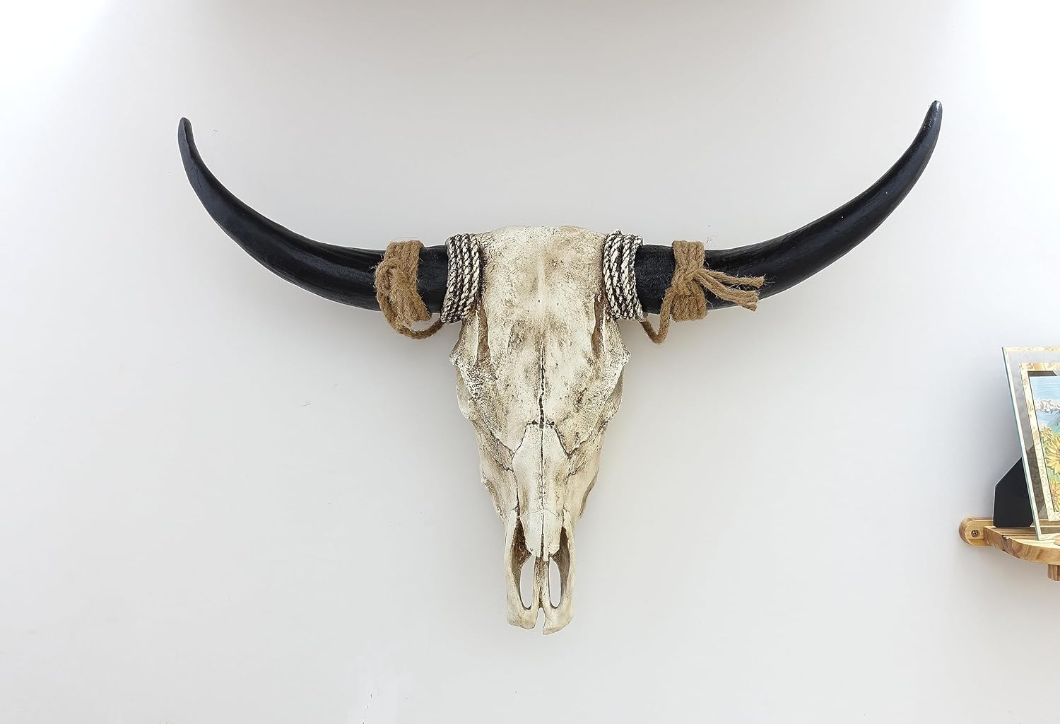 Comprar shankala Bison Bull Skull Wall Decor Cow Skull Wall Decor Head ...