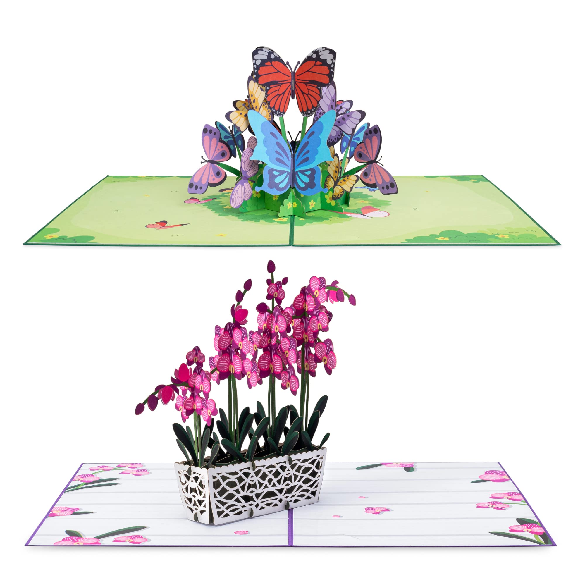 Amazon.com : Paper Love Pop Up Cards 2 Pack - Includes 1 Butterflies and 1 Orchid, For All ...