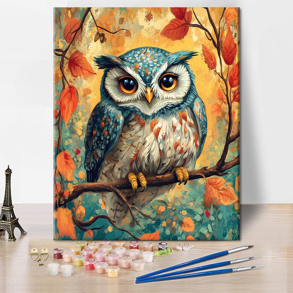 Amazon.com: TUMOVO Owl Paint by Numbers for Adults Beginner, Cute ...