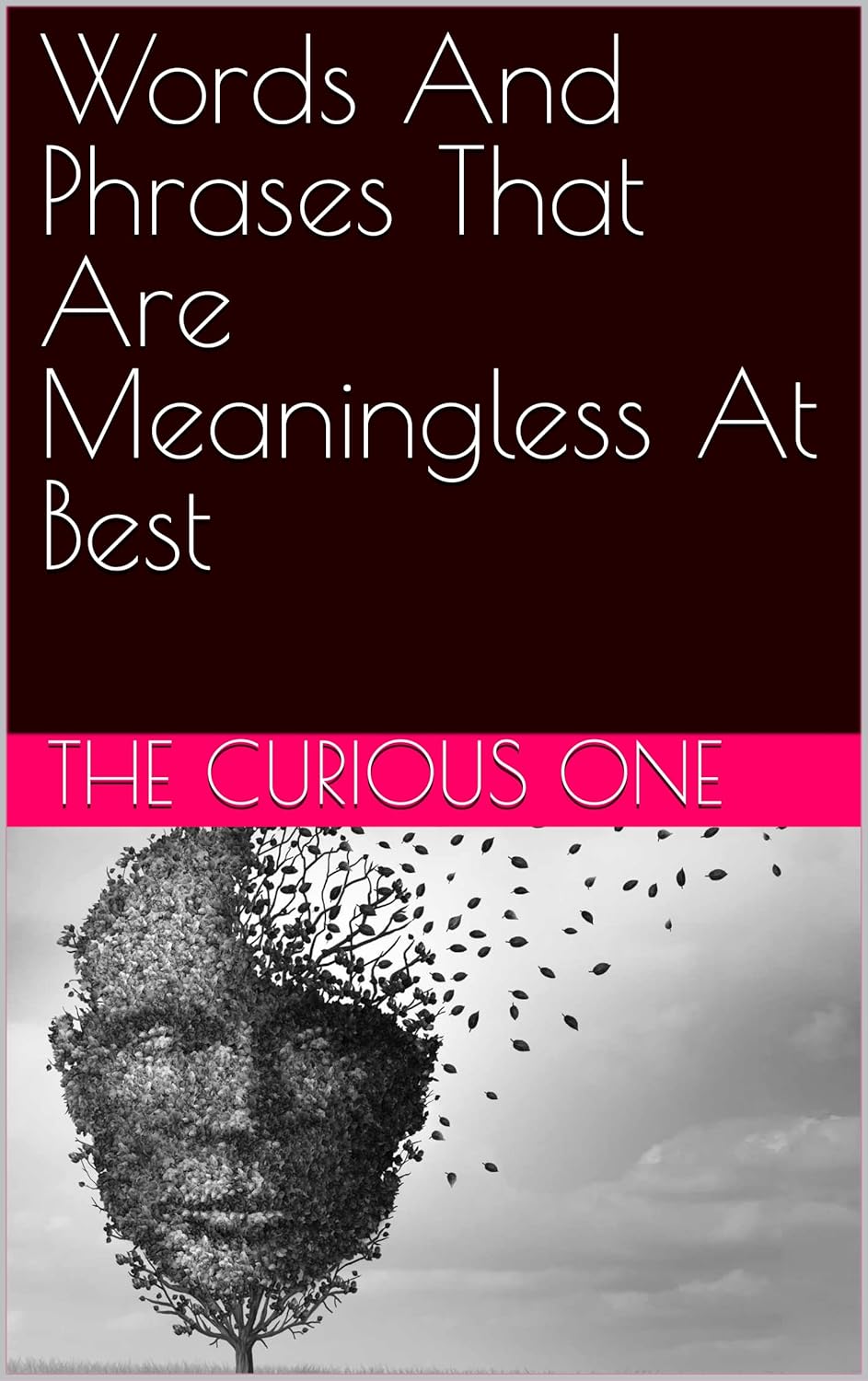 Words And Phrases That Are Meaningless At Best - Kindle edition by ...