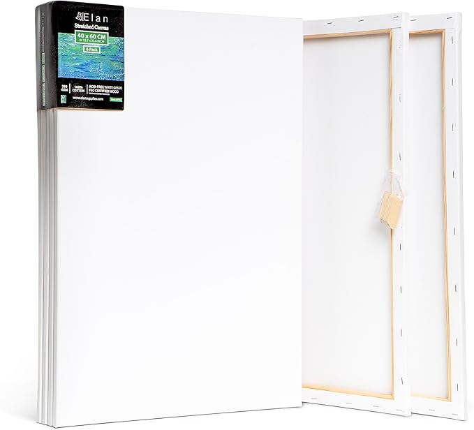Elan Stretched Canvases 40x60 CM, 6-Pack Art Canvases for Painting 280 ...