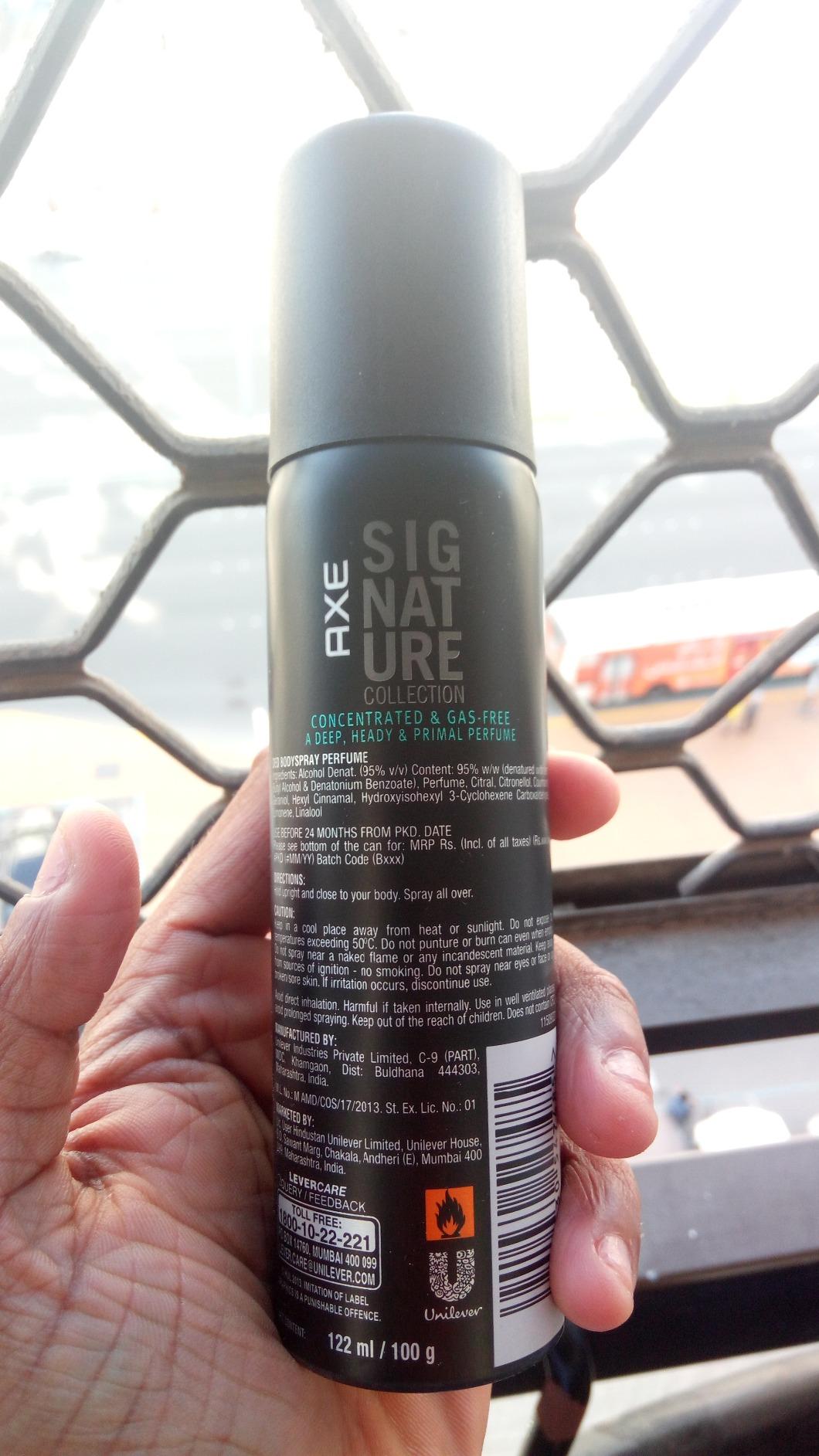 Buy Axe Signature Rogue Body Perfume, 122ml Online at Low Prices in ...