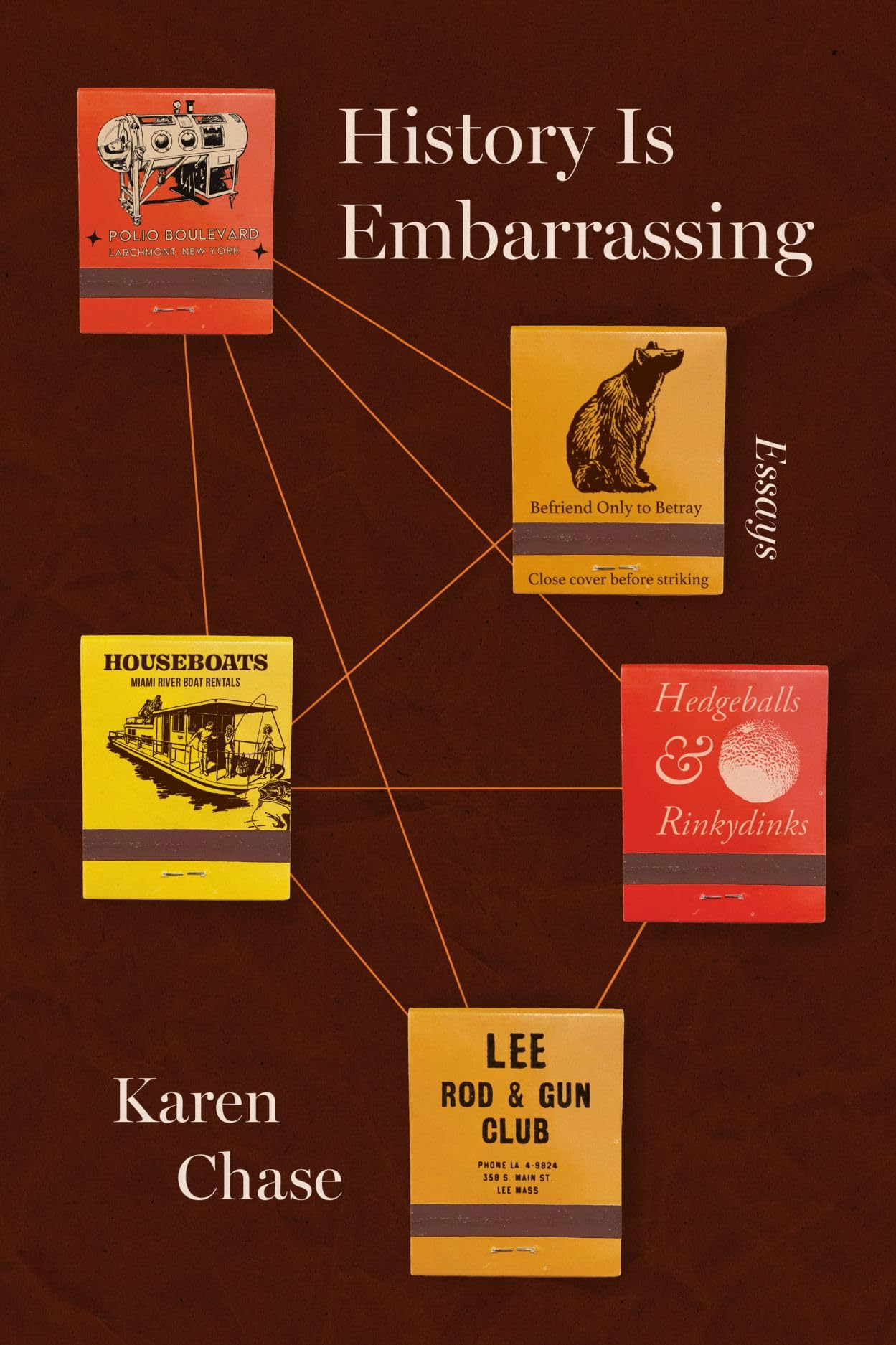History Is Embarrassing: Chase, Karen: 9781960327024: Amazon.com: Books