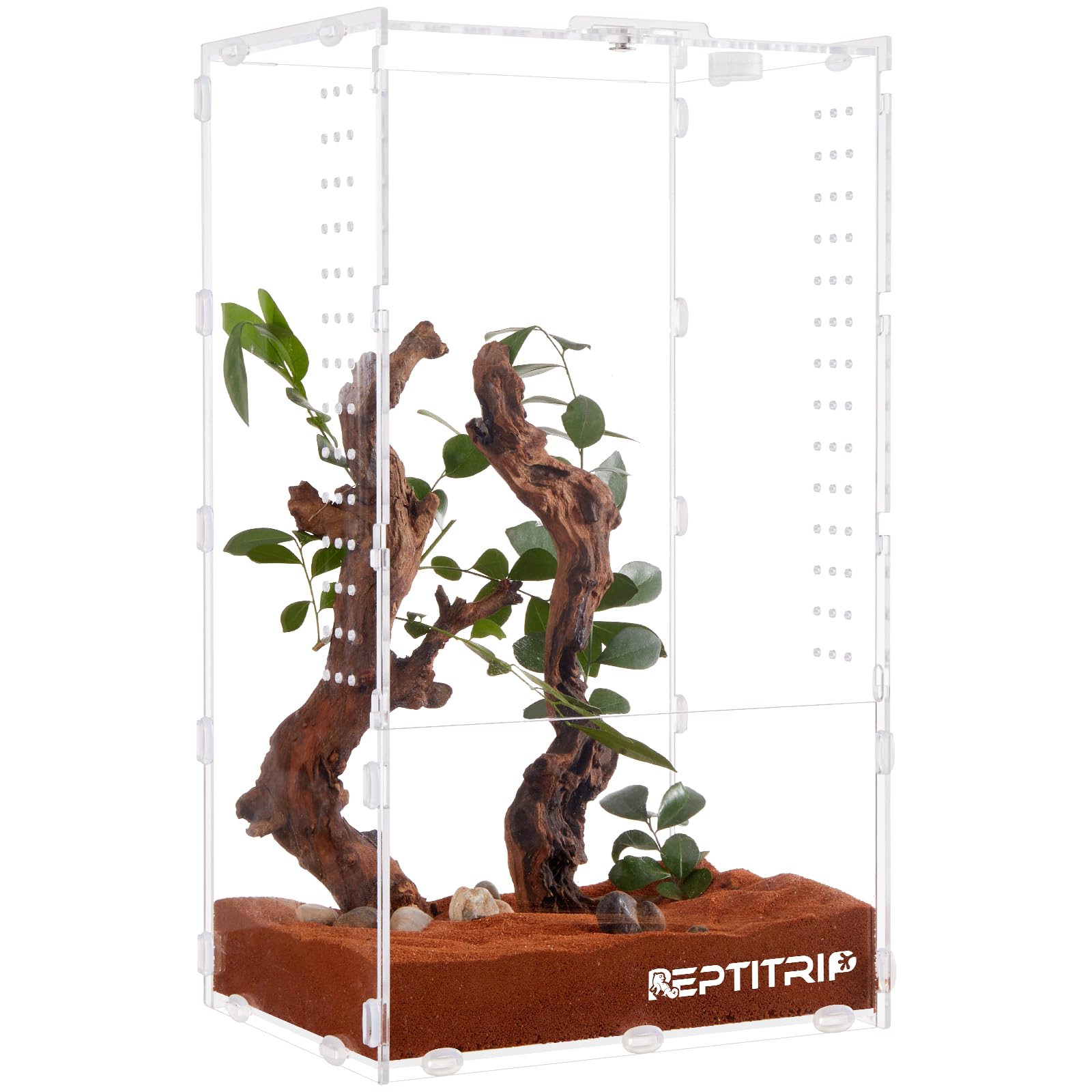 Buy Jumping Spider Enclosure, Tarantula Enclosure 6x8x14, Spider ...