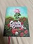 Candy Candy La Historia Definitiva : Keiko, Nagita: Amazon.com.mx: Libros