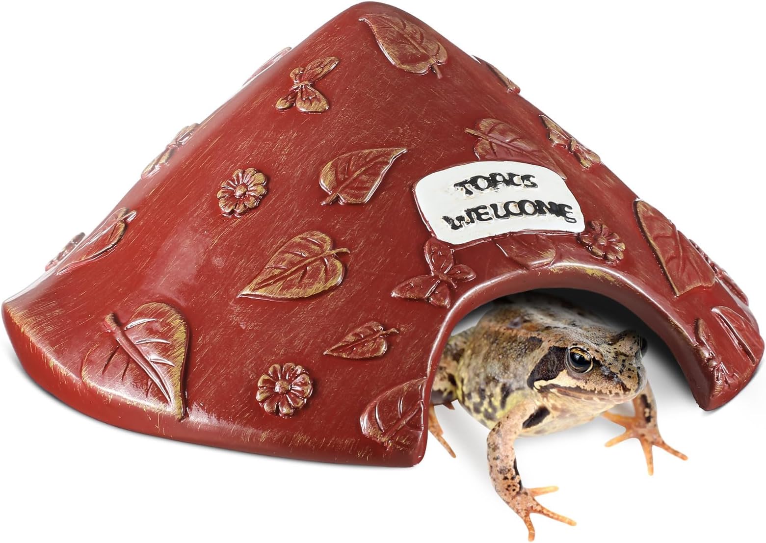 Amazon.com: Four Pack of Esschert Design Green Toad Houses : Patio ...