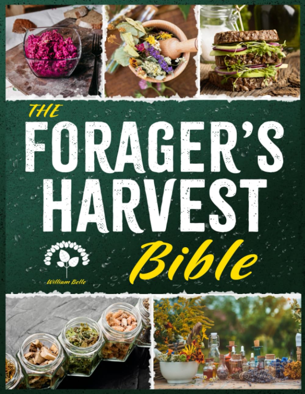 The Forager's Harvest Bible: The Ultimate Guide to Identifying ...