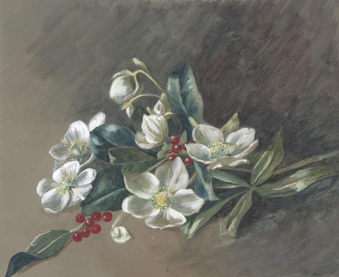 Amazon.com: Seth Winter - 1909 Watercolour, Flowers with Berries : Home ...